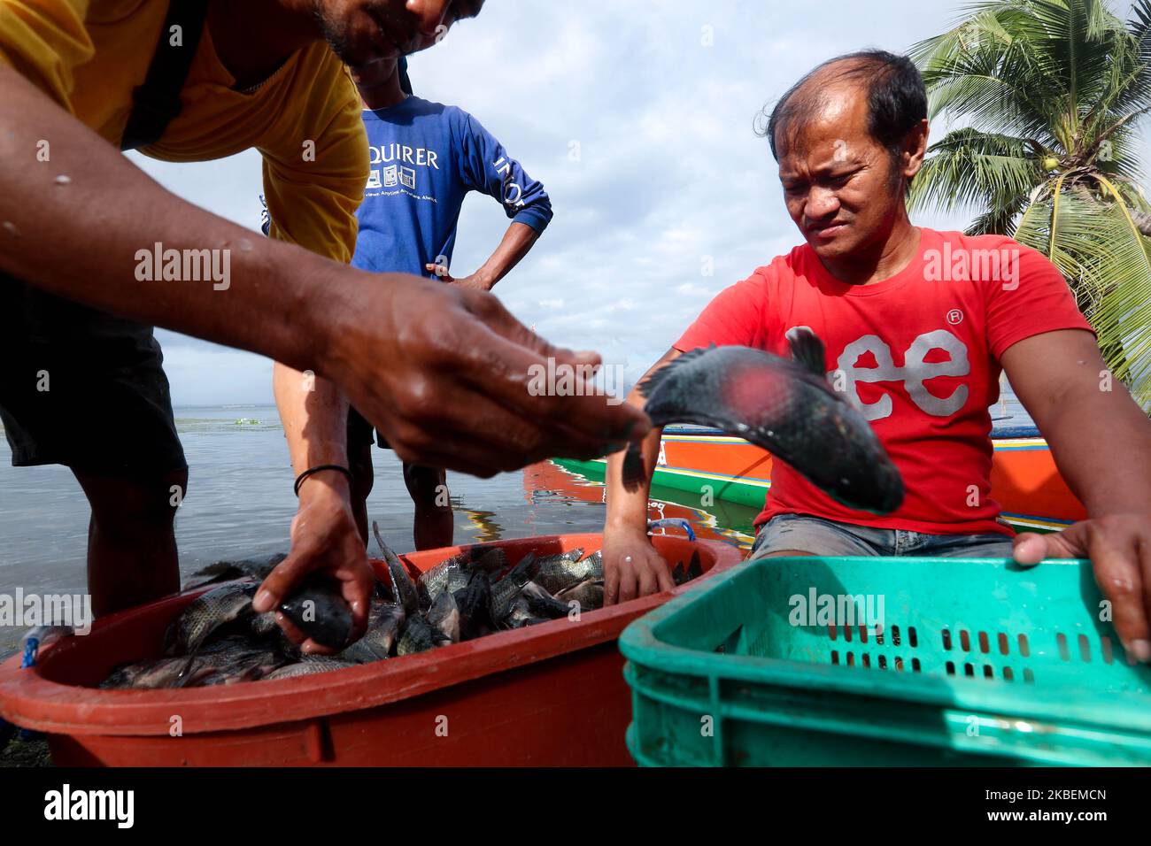 Local fishermen take advantage of the massive influx of fish in Taal ...