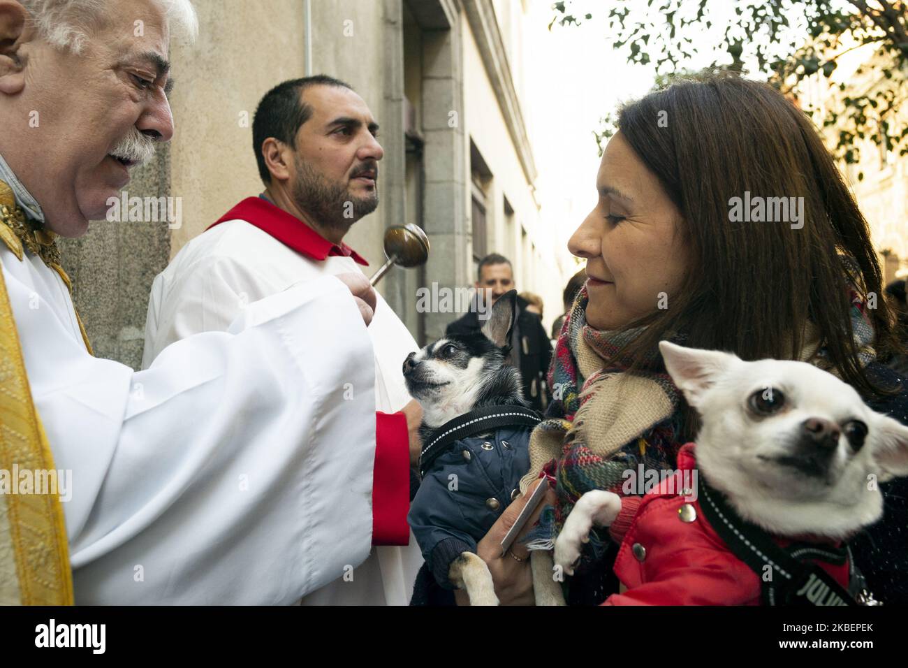 A Dog to be blessed by a priest during San Anton Abad's Day (Saint ...