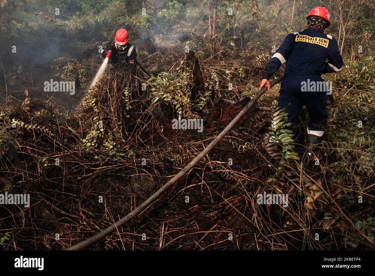 Manggala Agni, forest fire department Indonesian Ministry of Forestry ...