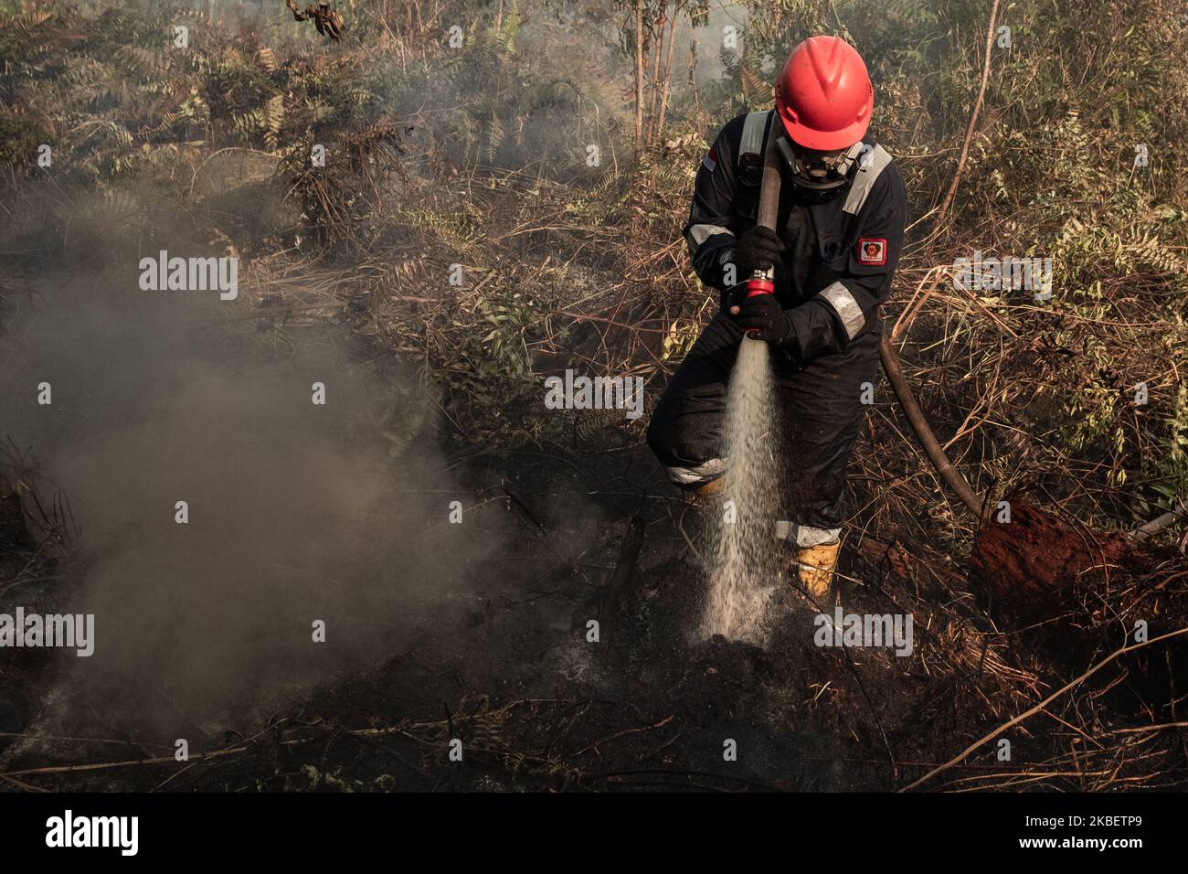 Manggala Agni, forest fire department Indonesian Ministry of Forestry ...