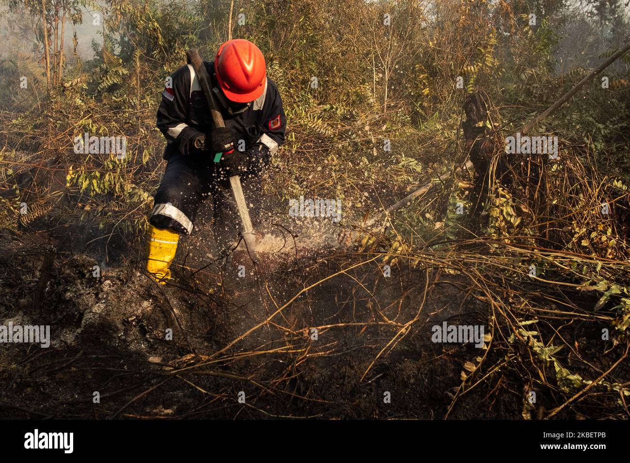 Manggala Agni, forest fire department Indonesian Ministry of Forestry ...