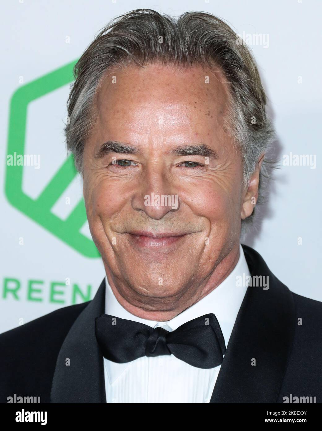 HOLLYWOOD, LOS ANGELES, CALIFORNIA, USA - JANUARY 18: Actor Don Johnson ...