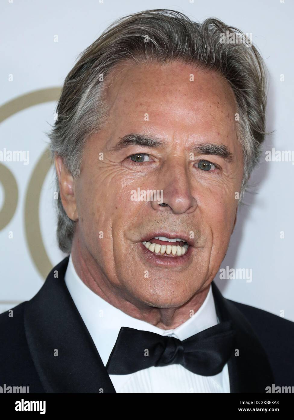 HOLLYWOOD, LOS ANGELES, CALIFORNIA, USA - JANUARY 18: Actor Don Johnson ...