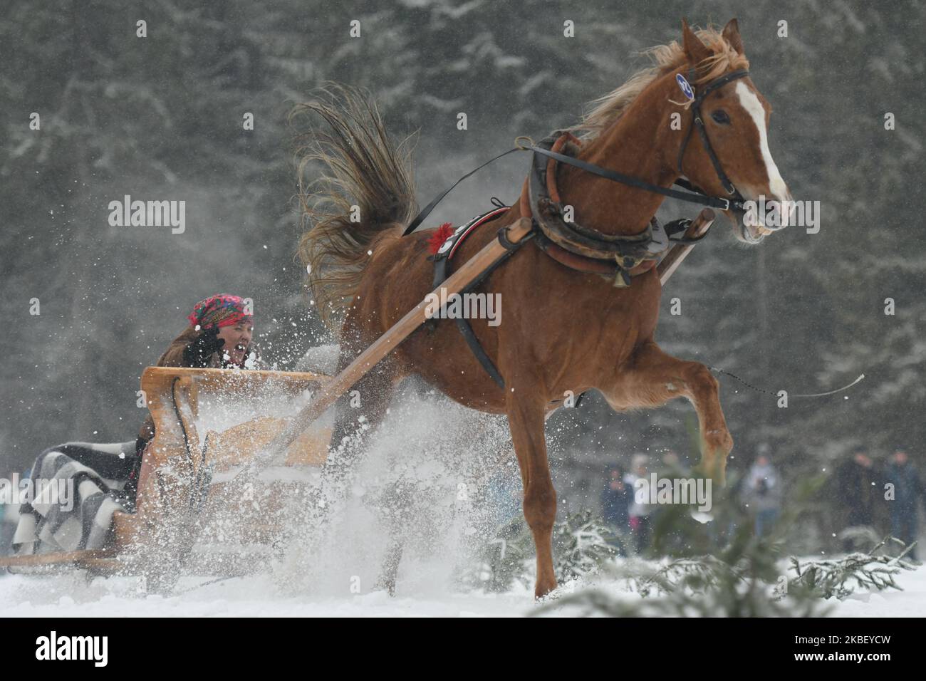 Kumoterki competitors Anna and Michal Bobak with 'Malina' horse seen in ...