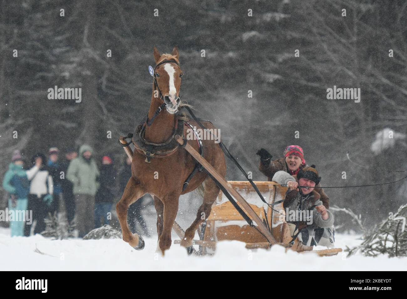 Kumoterki competitors Anna and Michal Bobak with 'Malina' horse seen in ...