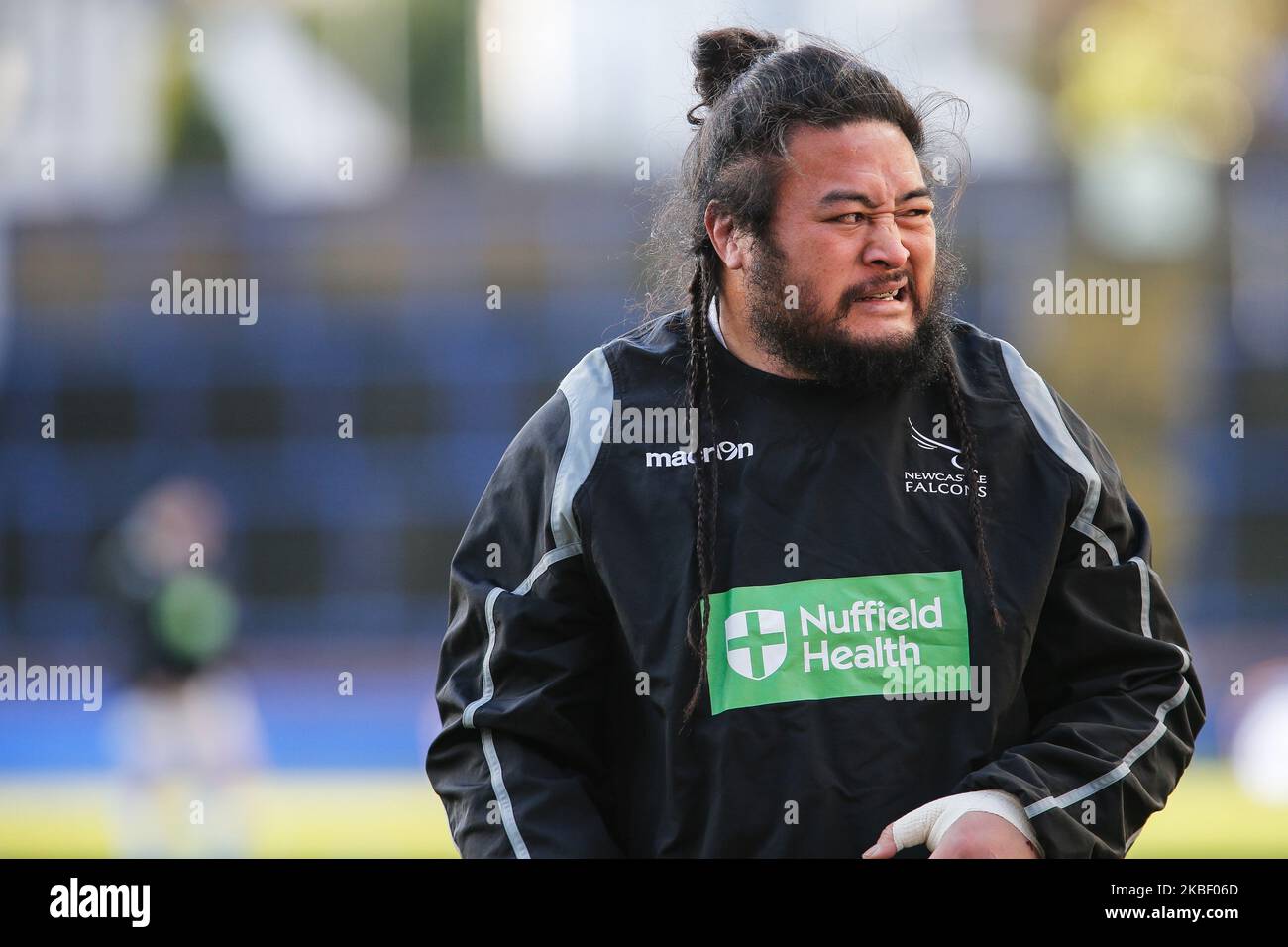 Logovii mulipola of newcastle falcons hi-res stock photography and ...