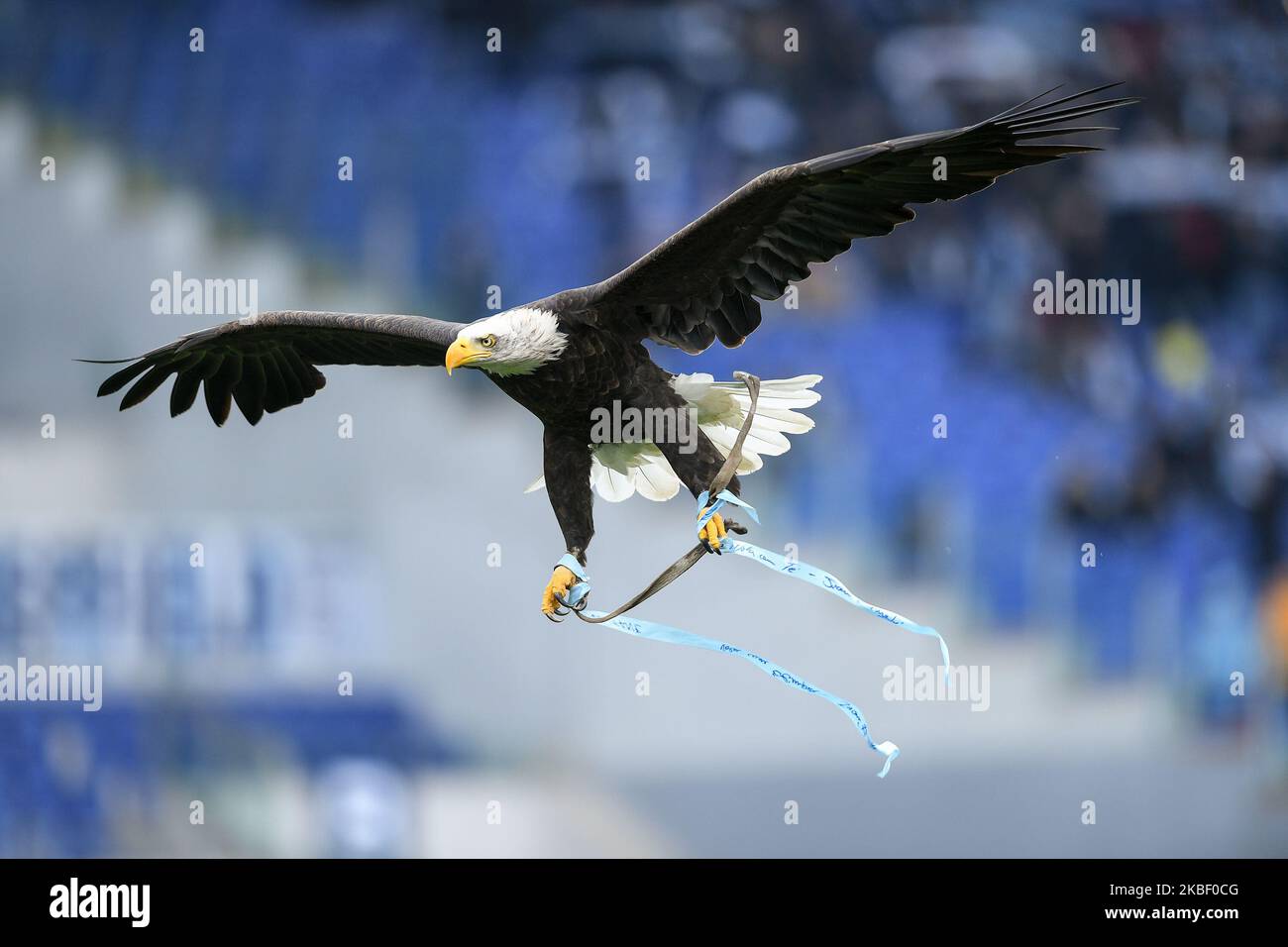 Ss eagle hi-res stock photography and images - Alamy