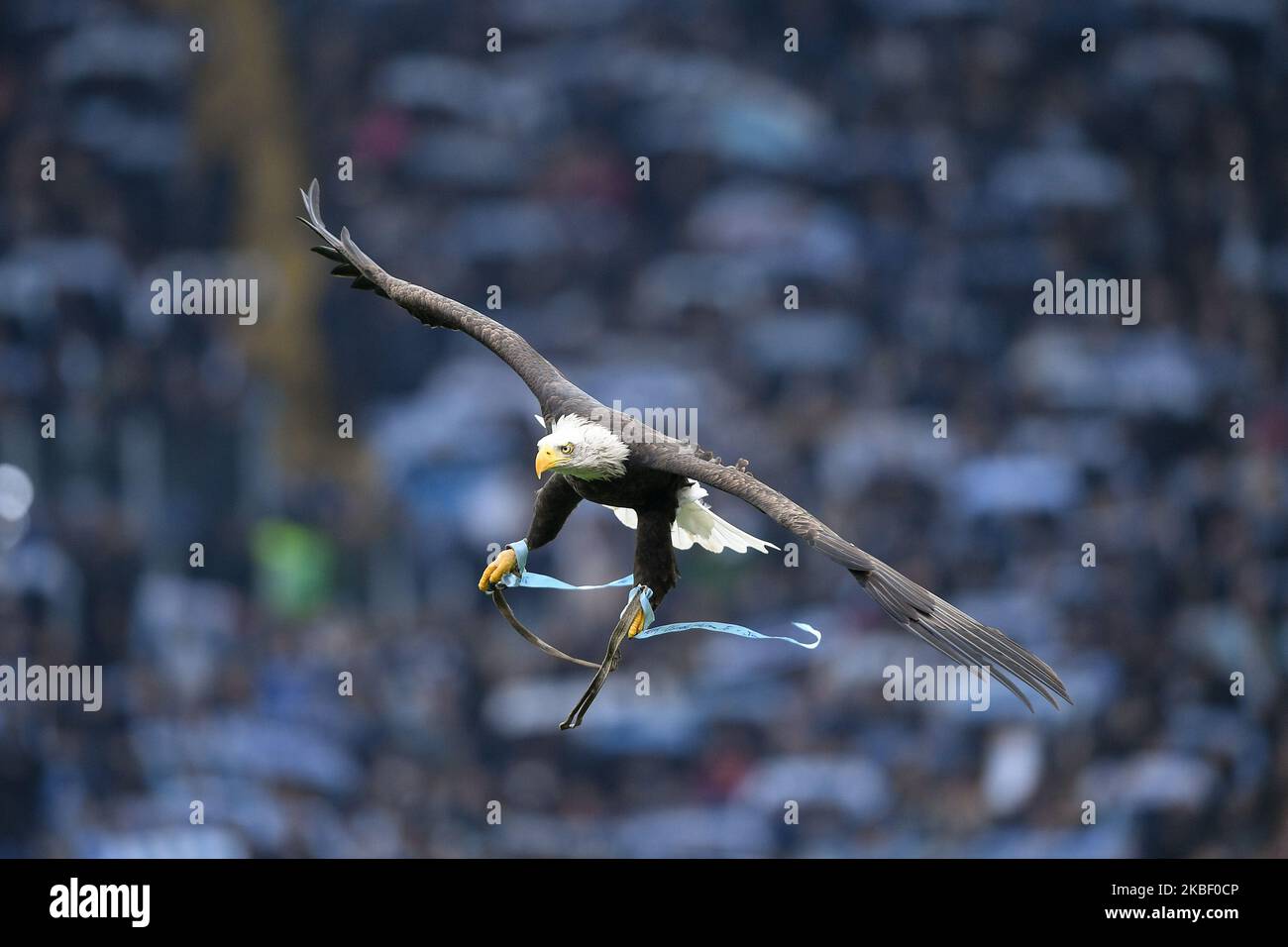 Ss eagle hi-res stock photography and images - Alamy