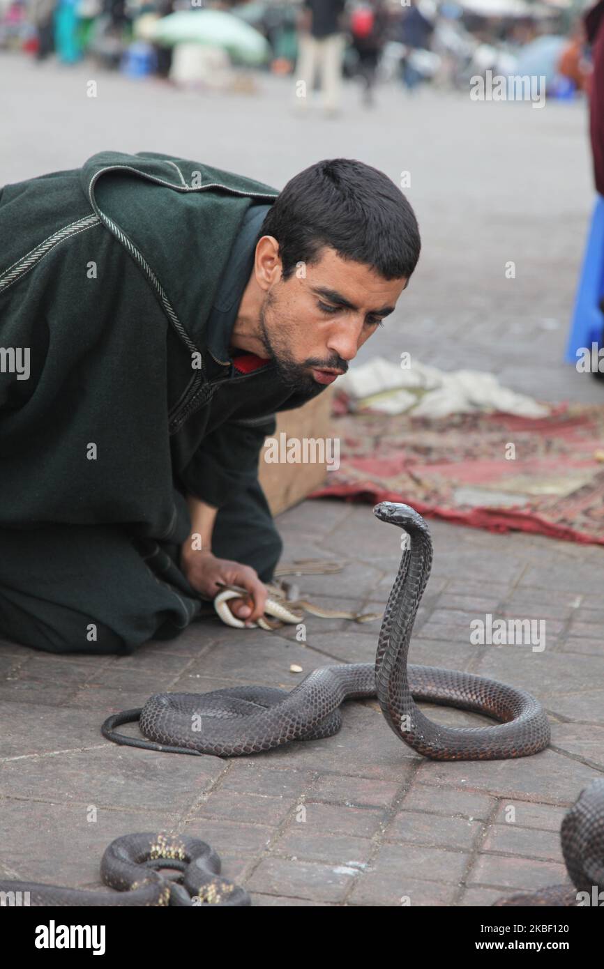 Jemaa el fnaa morocco marrakech snake hi-res stock photography and ...