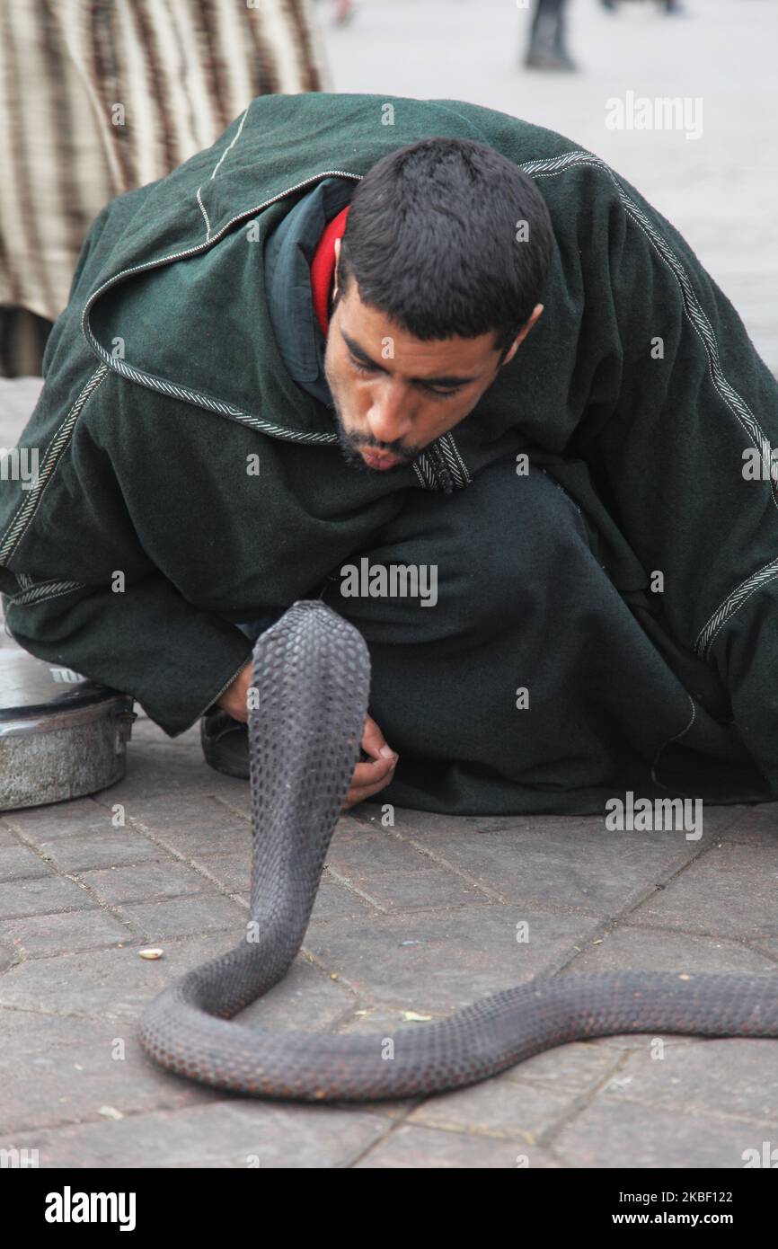 Fourth snake hi-res stock photography and images - Alamy