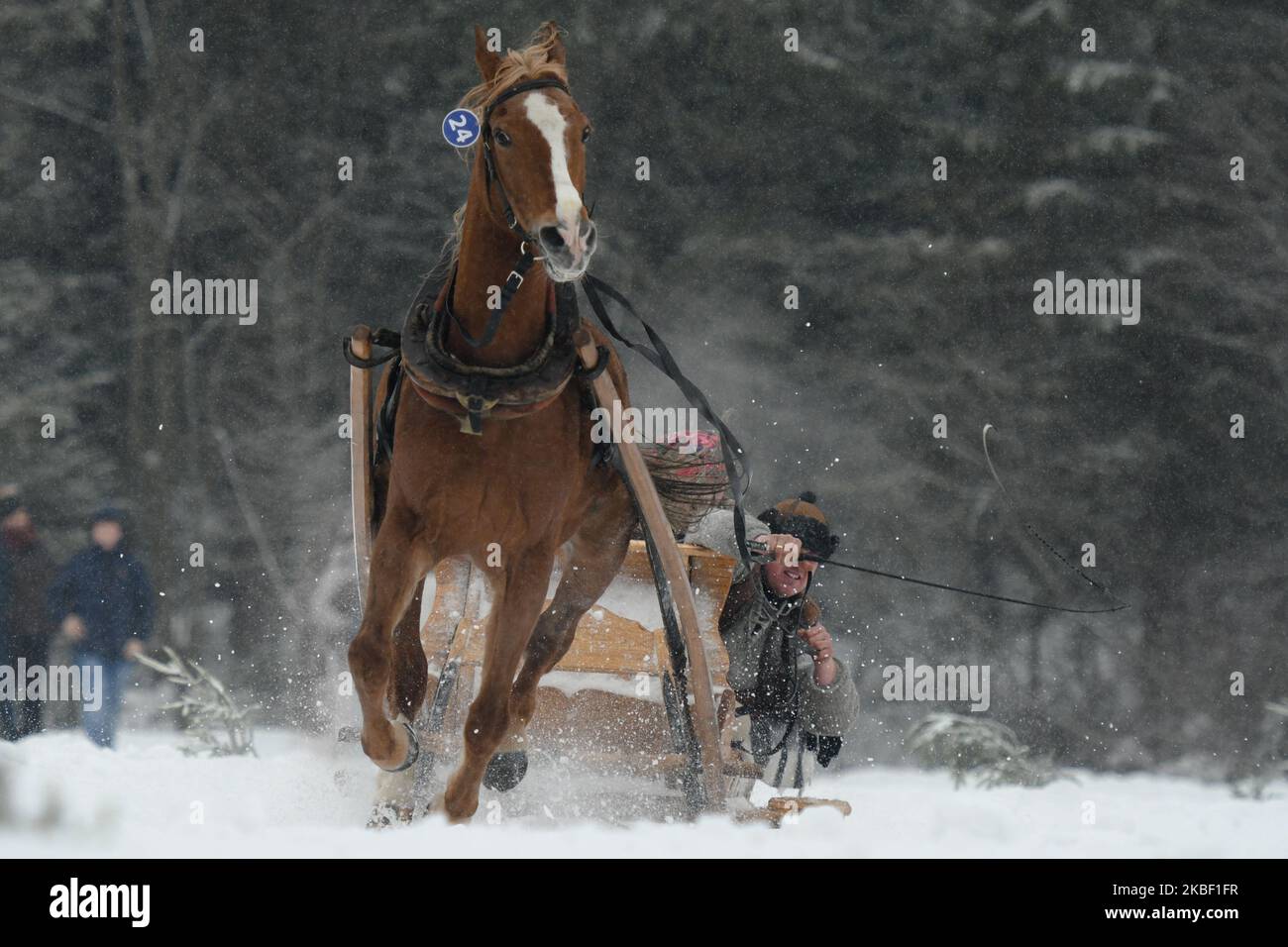 Kumoterki competitors Anna and Michal Bobak with 'Malina' horse seen in ...