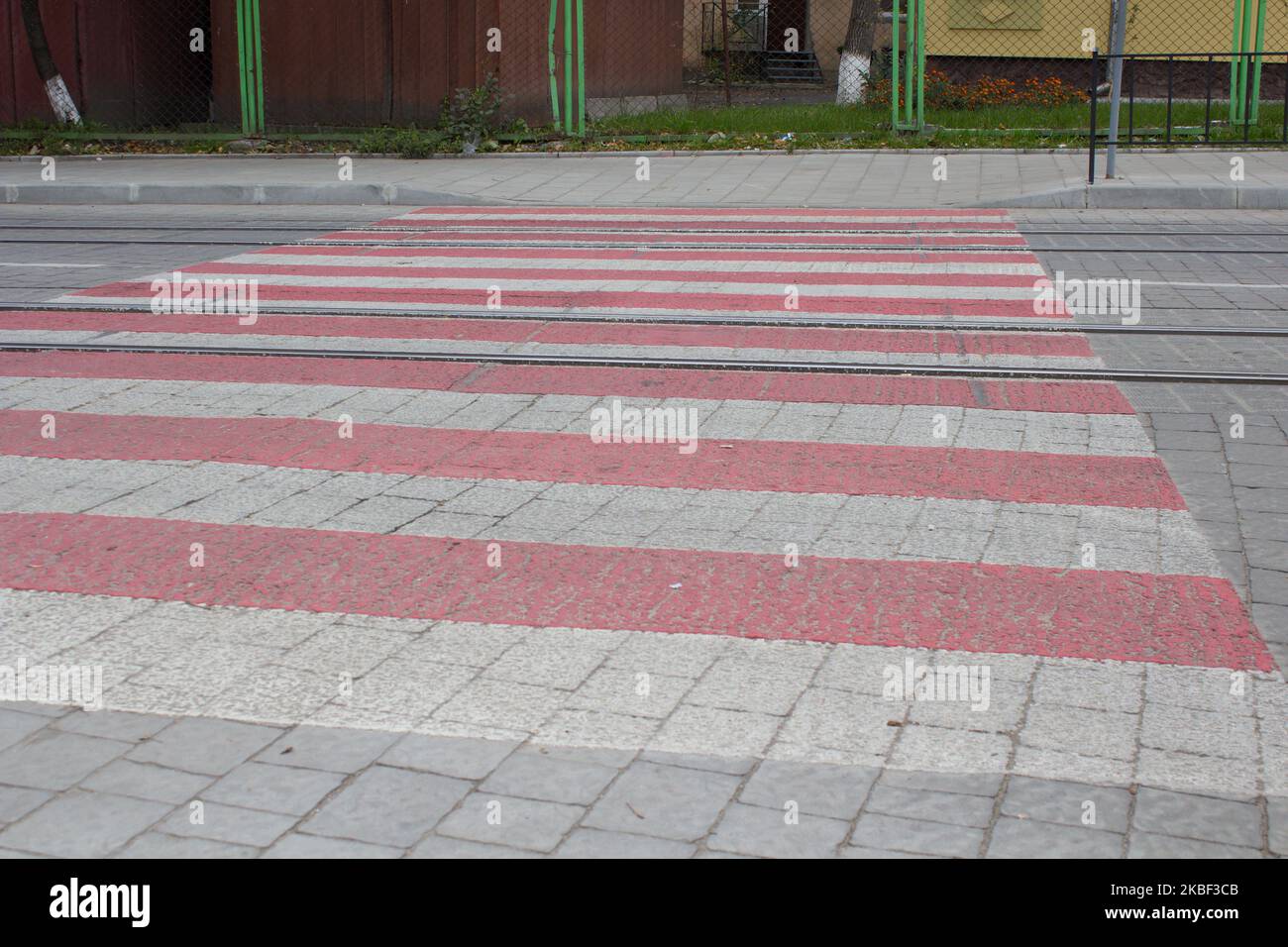 Perspective of White crosswalk on asphalt road Stock Photo - Alamy