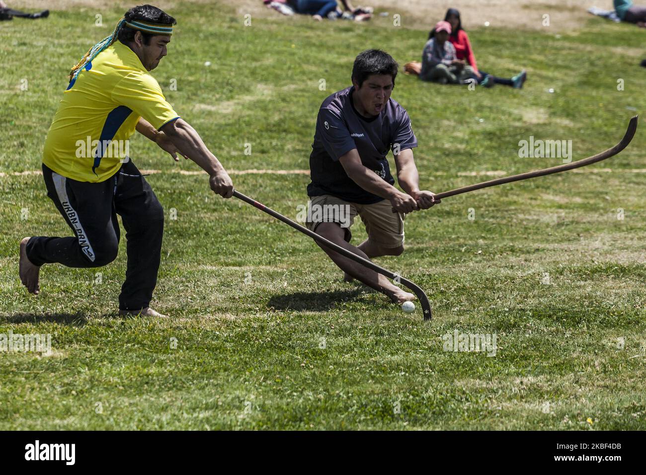 Members of Mapuche Huilliche communities play Palin. With the efkutun ...