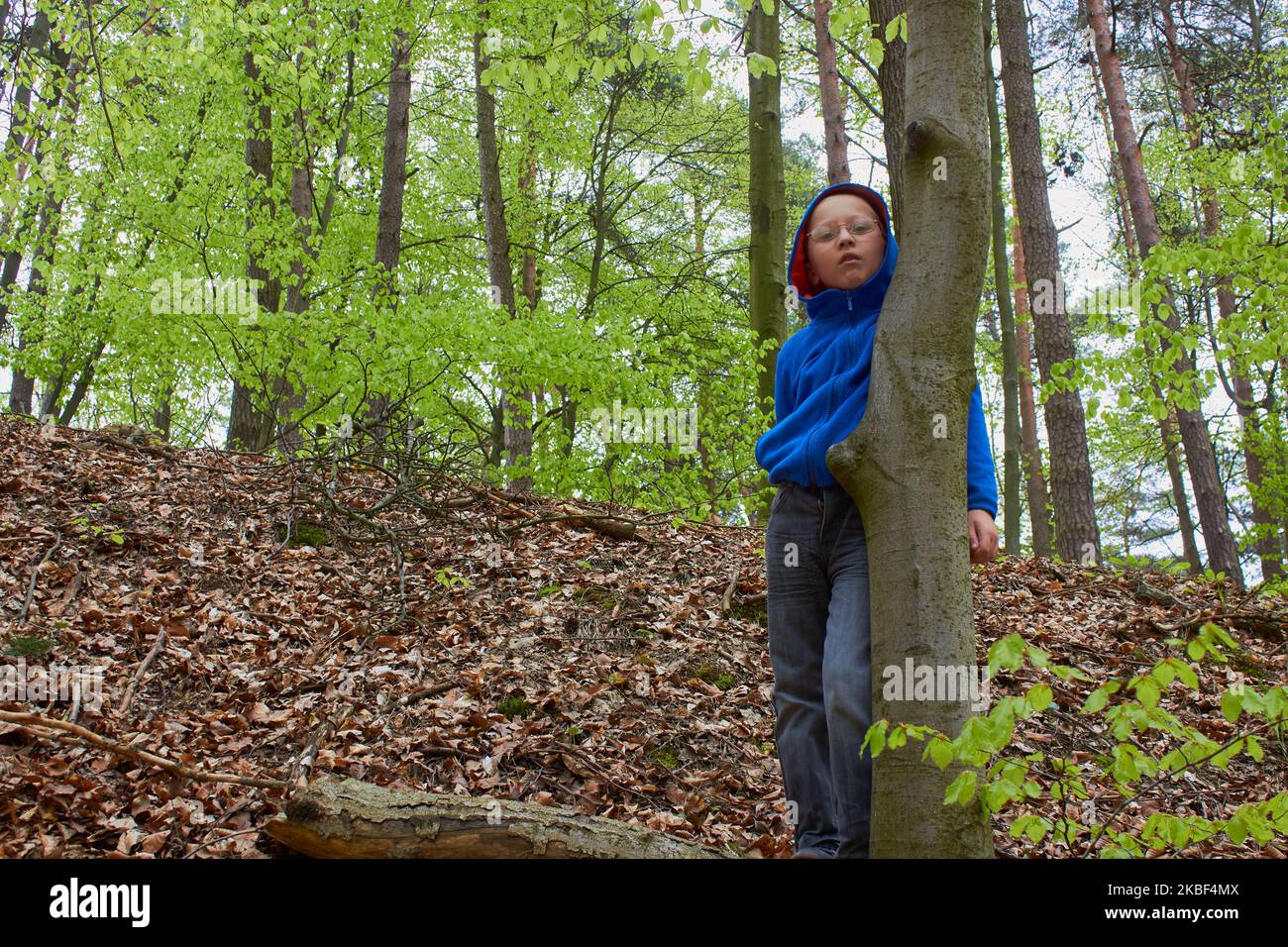 Portrait of a child boy peeking from behind a tree in a forest Stock ...
