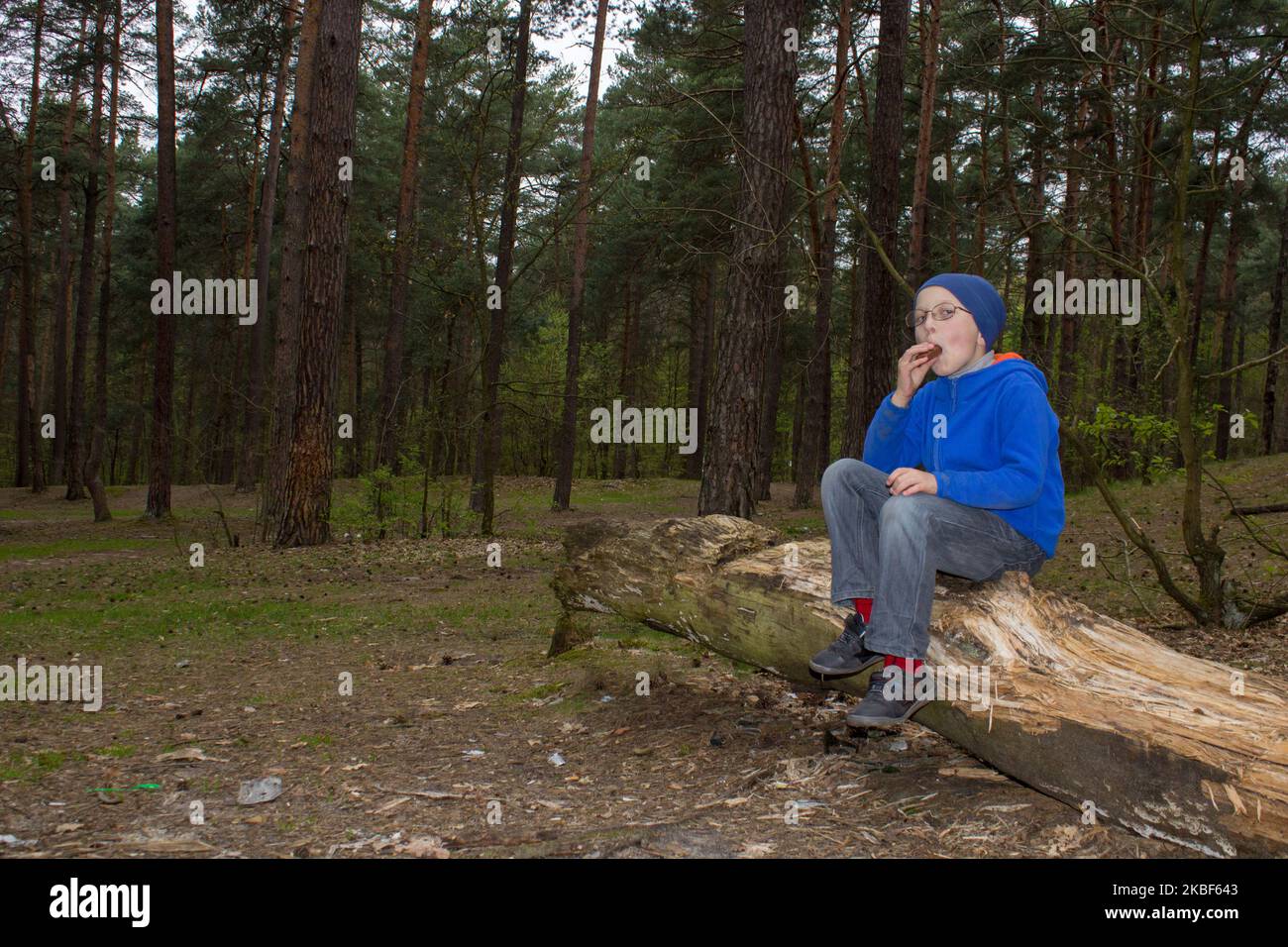 in the forest at night the boy ate a chocolate bar, the little boy sat ...