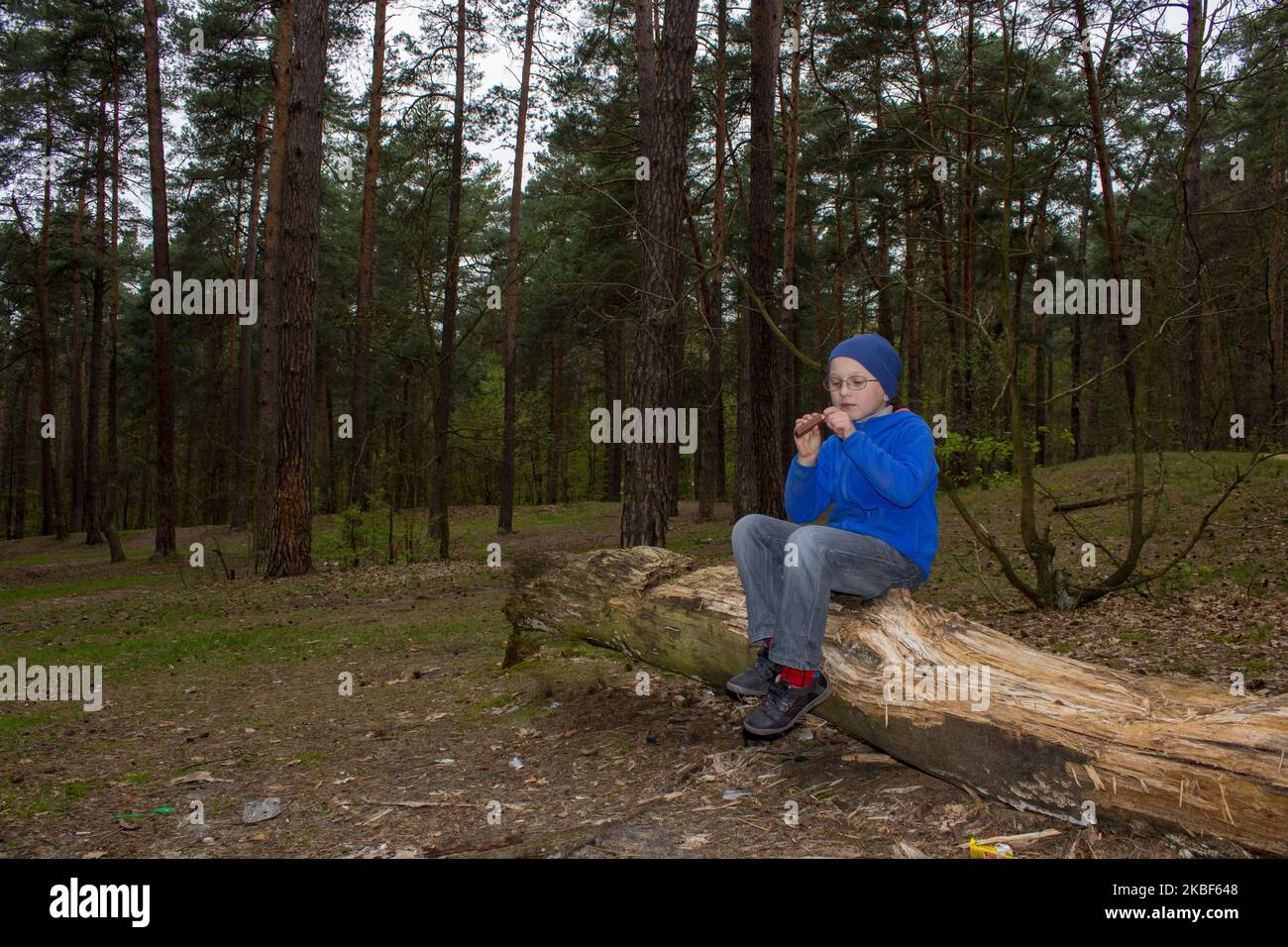 a little boy alone in the woods dinner sitting on an old tree and ...