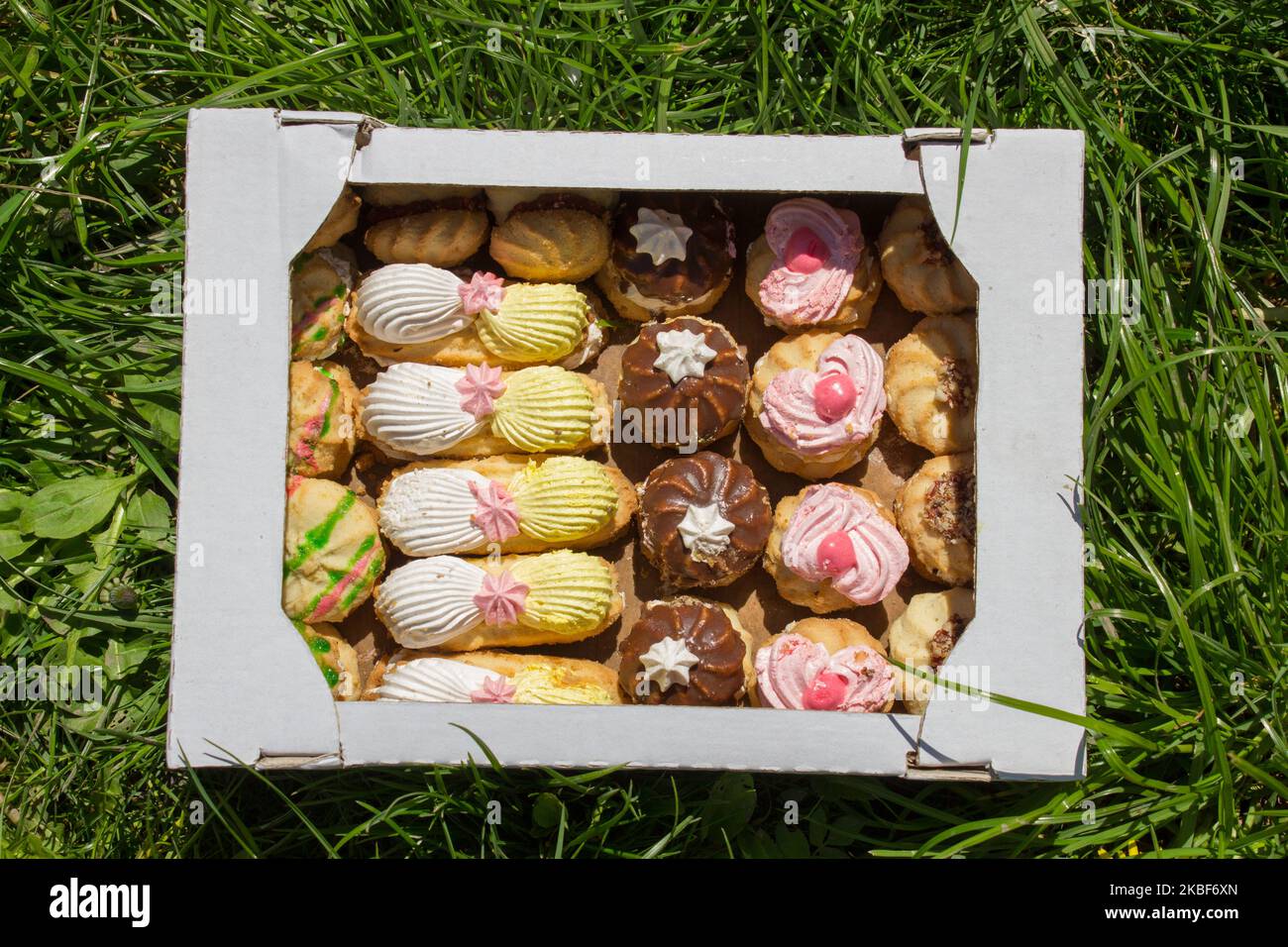biscuits per pack grass spring top view Stock Photo - Alamy