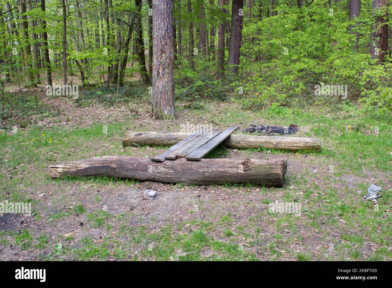 Spring forest empty space for camping trees lying Stock Photo - Alamy