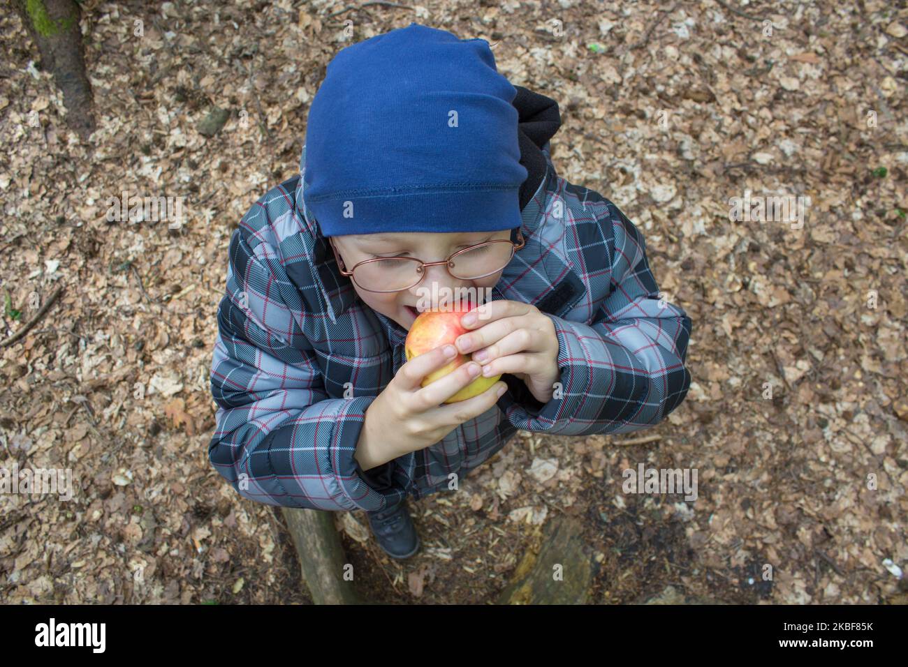 boy bites an apple in the autumn forest at an angle from above shooting ...