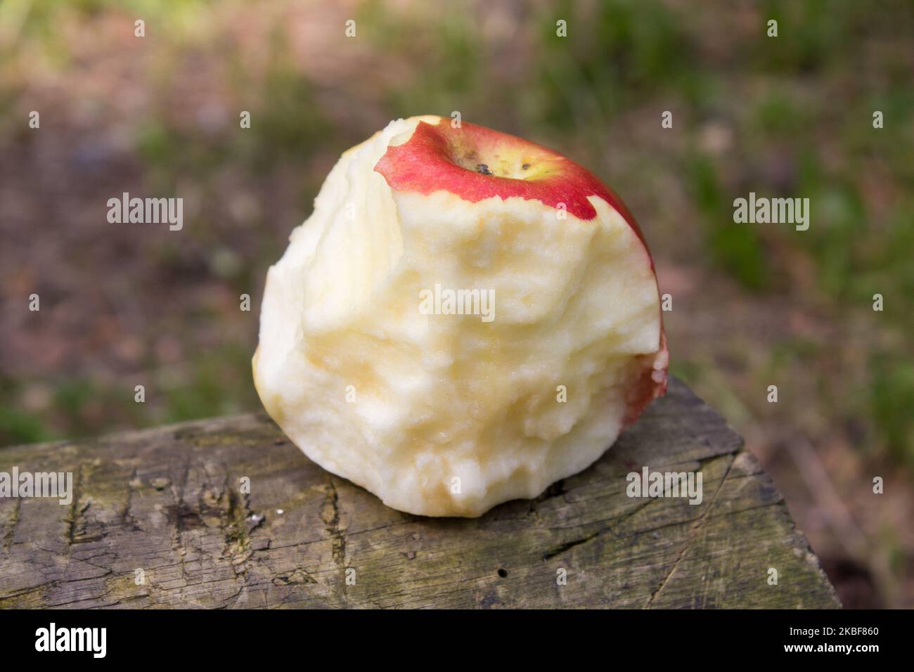 Red apple with bite hi-res stock photography and images - Alamy