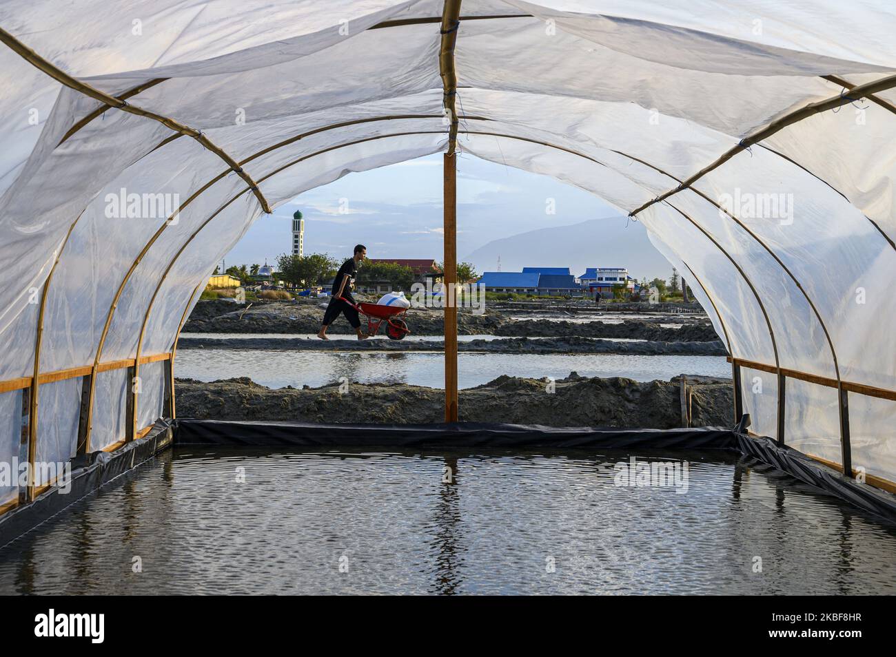 Farmers transport their salt that has just been harvested in Palu ...