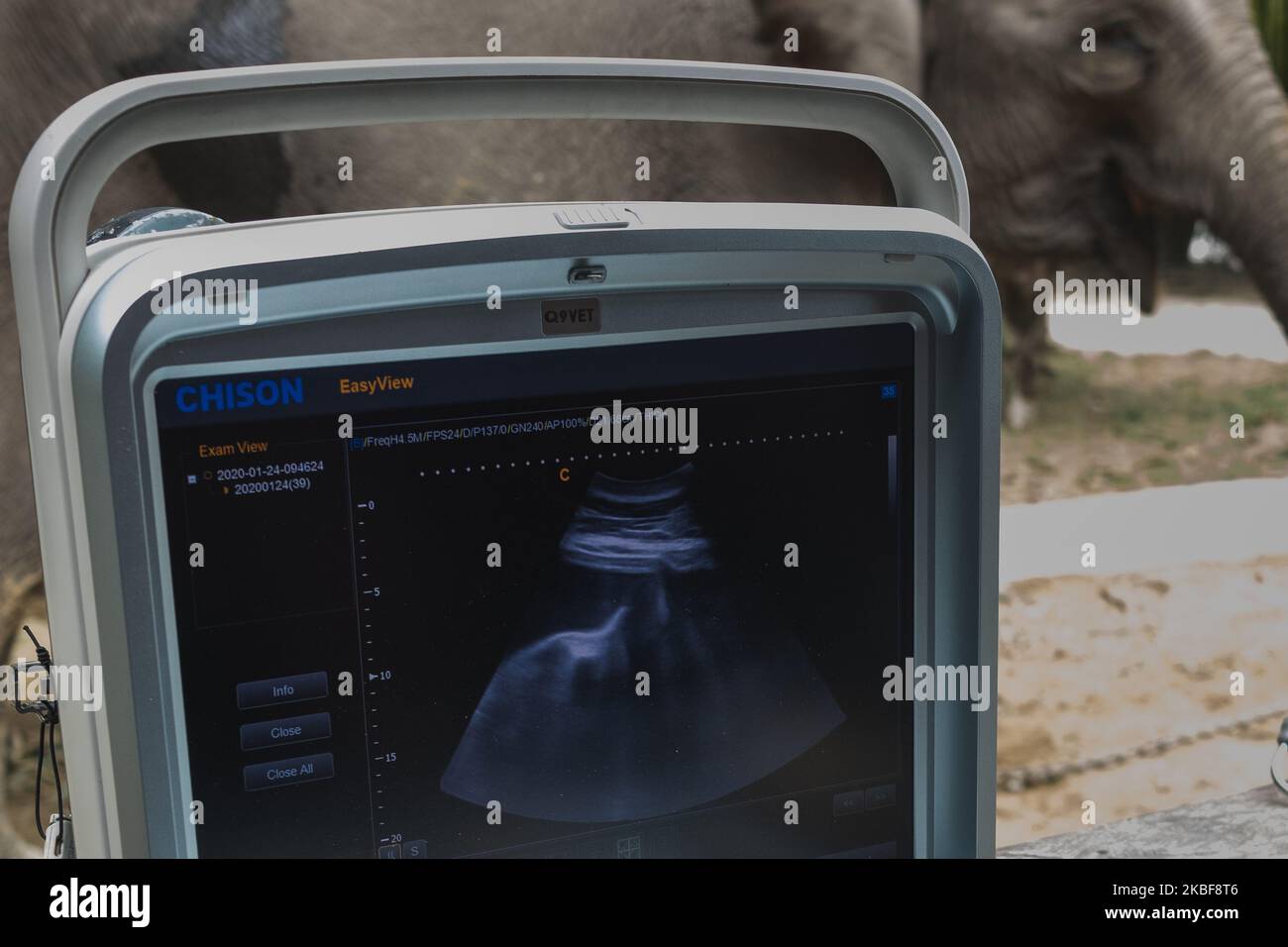 Veterinary from the provincial Riau Natural Resources Conservation ...