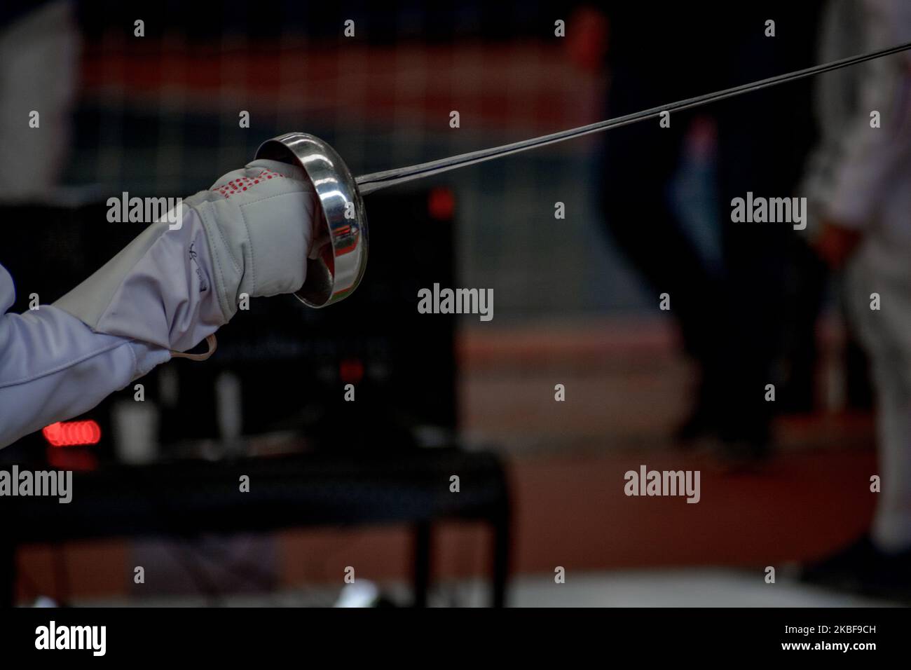 International fencing ladder hi-res stock photography and images - Alamy