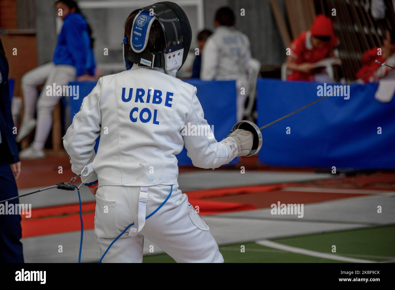 International fencing ladder hi-res stock photography and images - Alamy