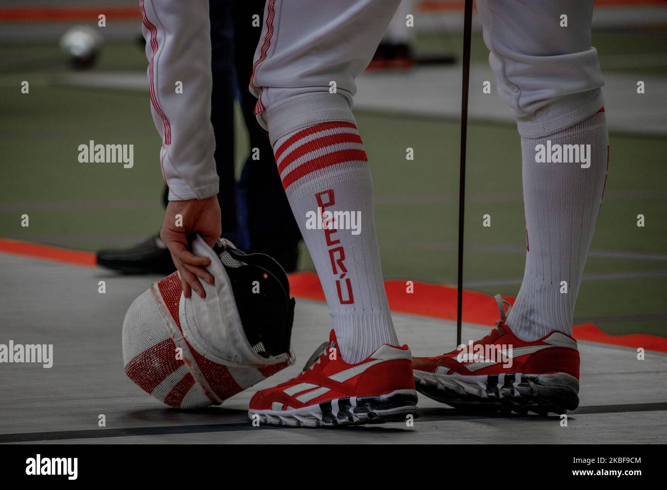 International fencing ladder hi-res stock photography and images - Alamy