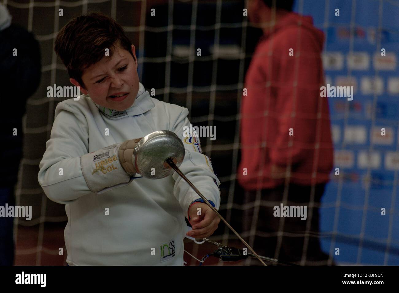 International fencing ladder hi-res stock photography and images - Alamy