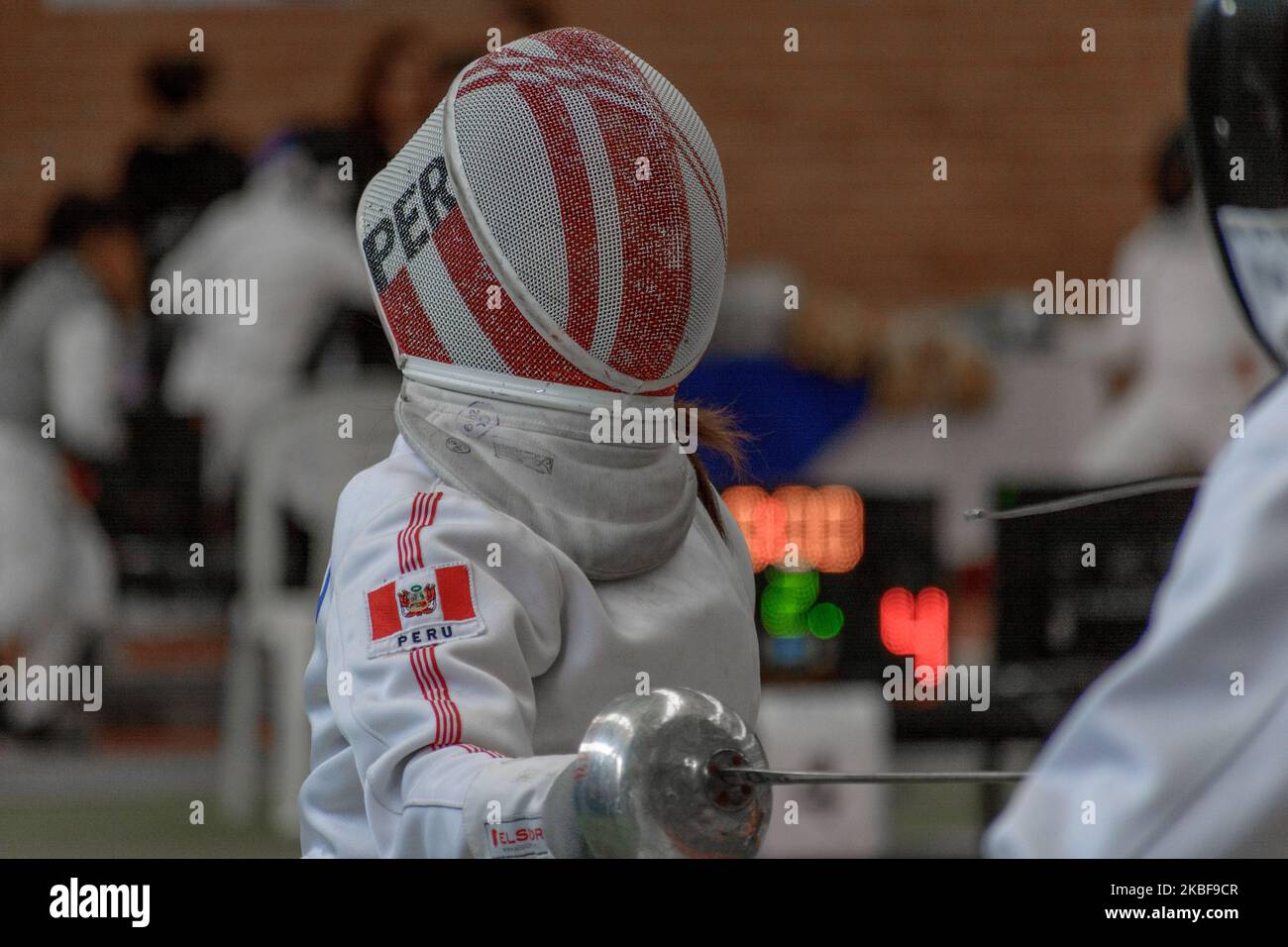 International fencing ladder hi-res stock photography and images - Alamy