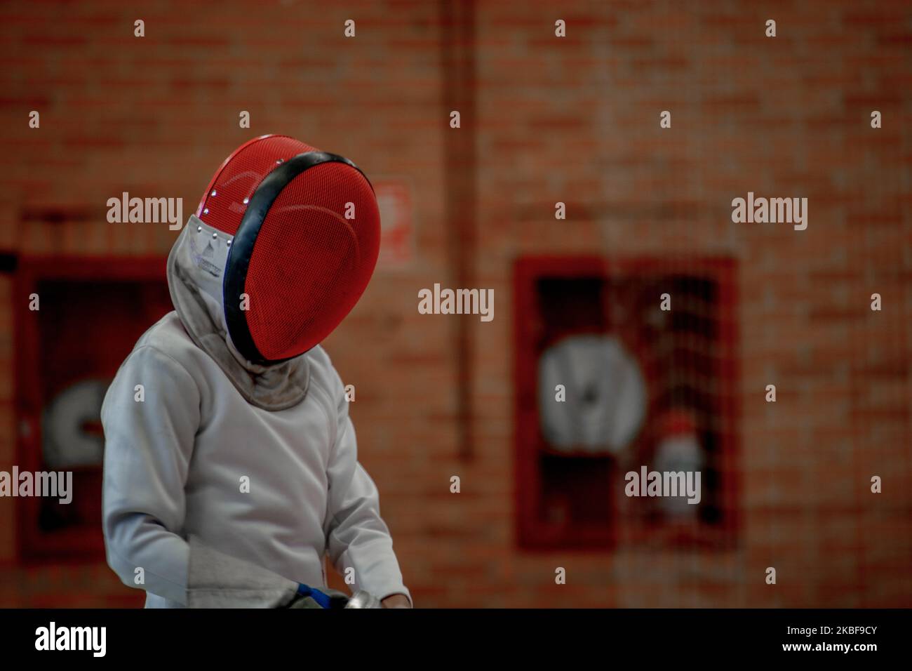 International fencing ladder hi-res stock photography and images - Alamy