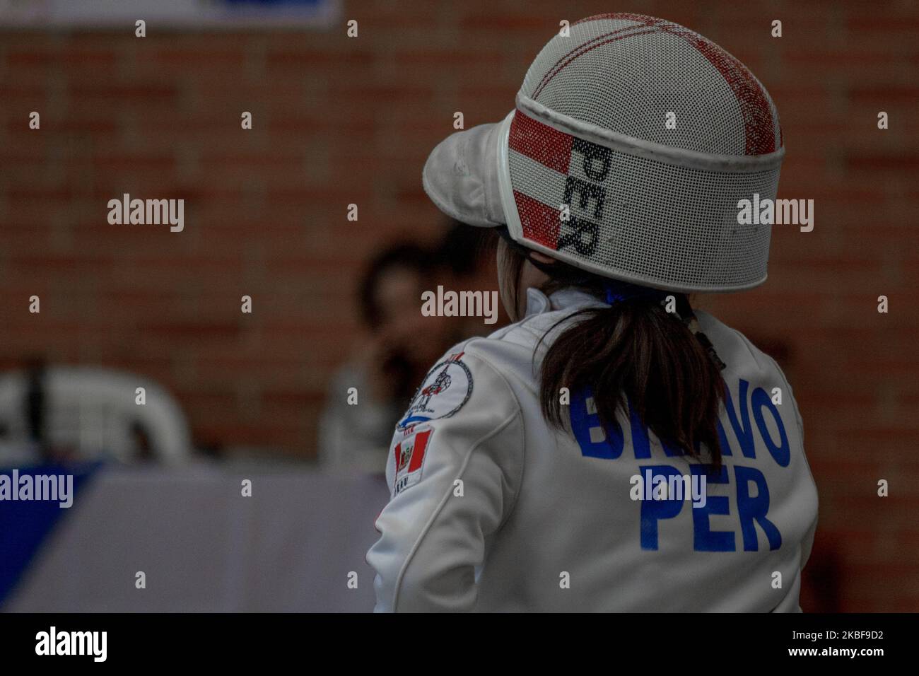 International fencing ladder hi-res stock photography and images - Alamy