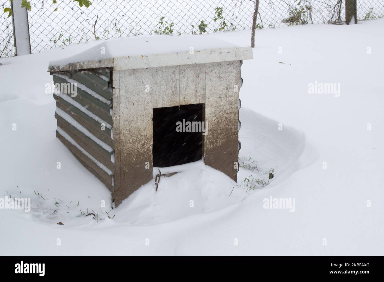 An empty dog house in the winter is covered with snow Stock Photo - Alamy
