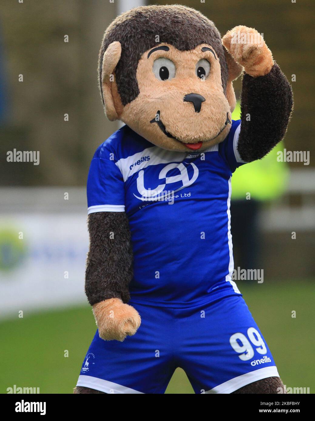 Hartlepool united hangus the mascot hi-res stock photography and images ...