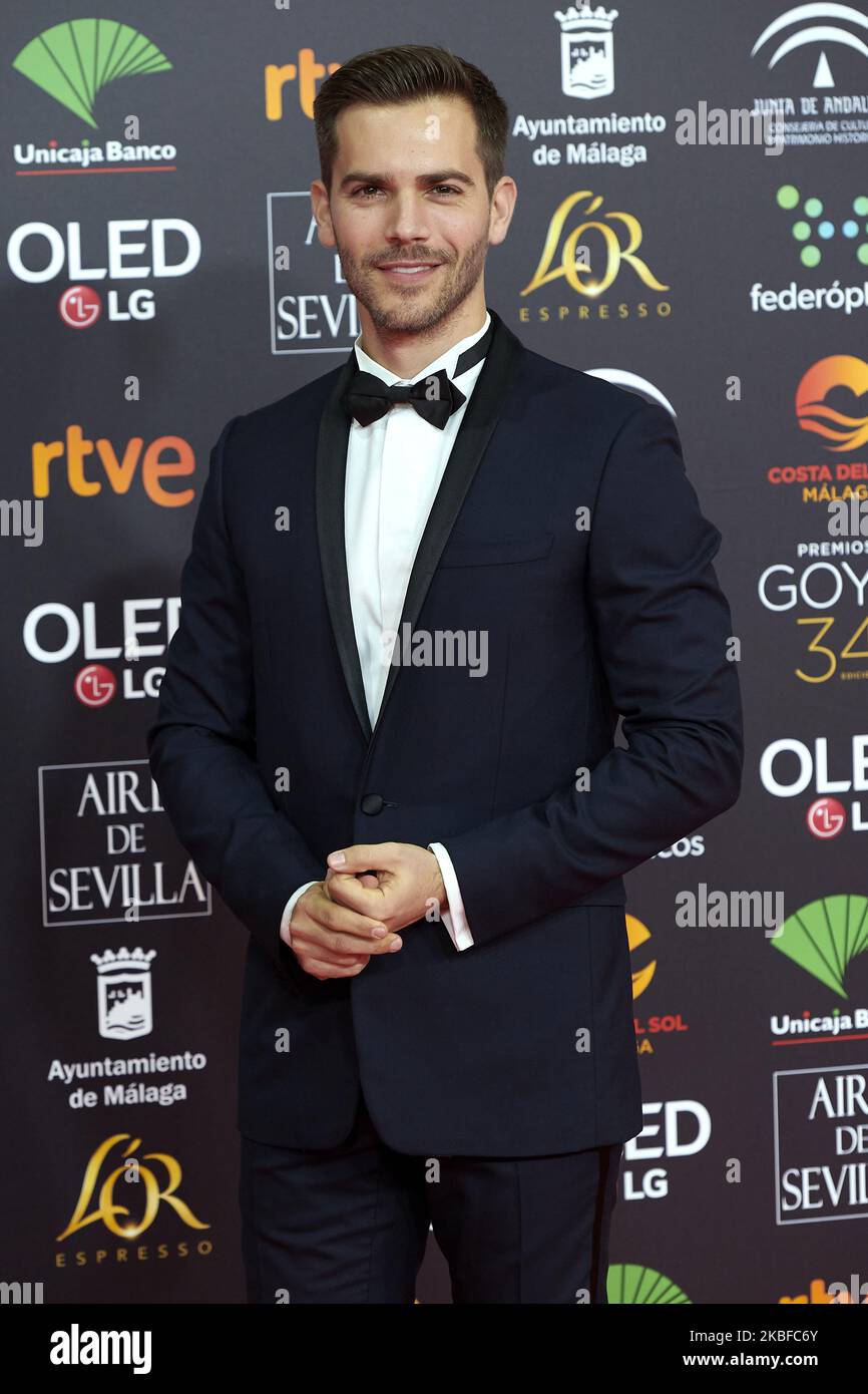 Marc Clotet attends the 34th 'Goya' Cinema Awards 2020 Red Carpet ...