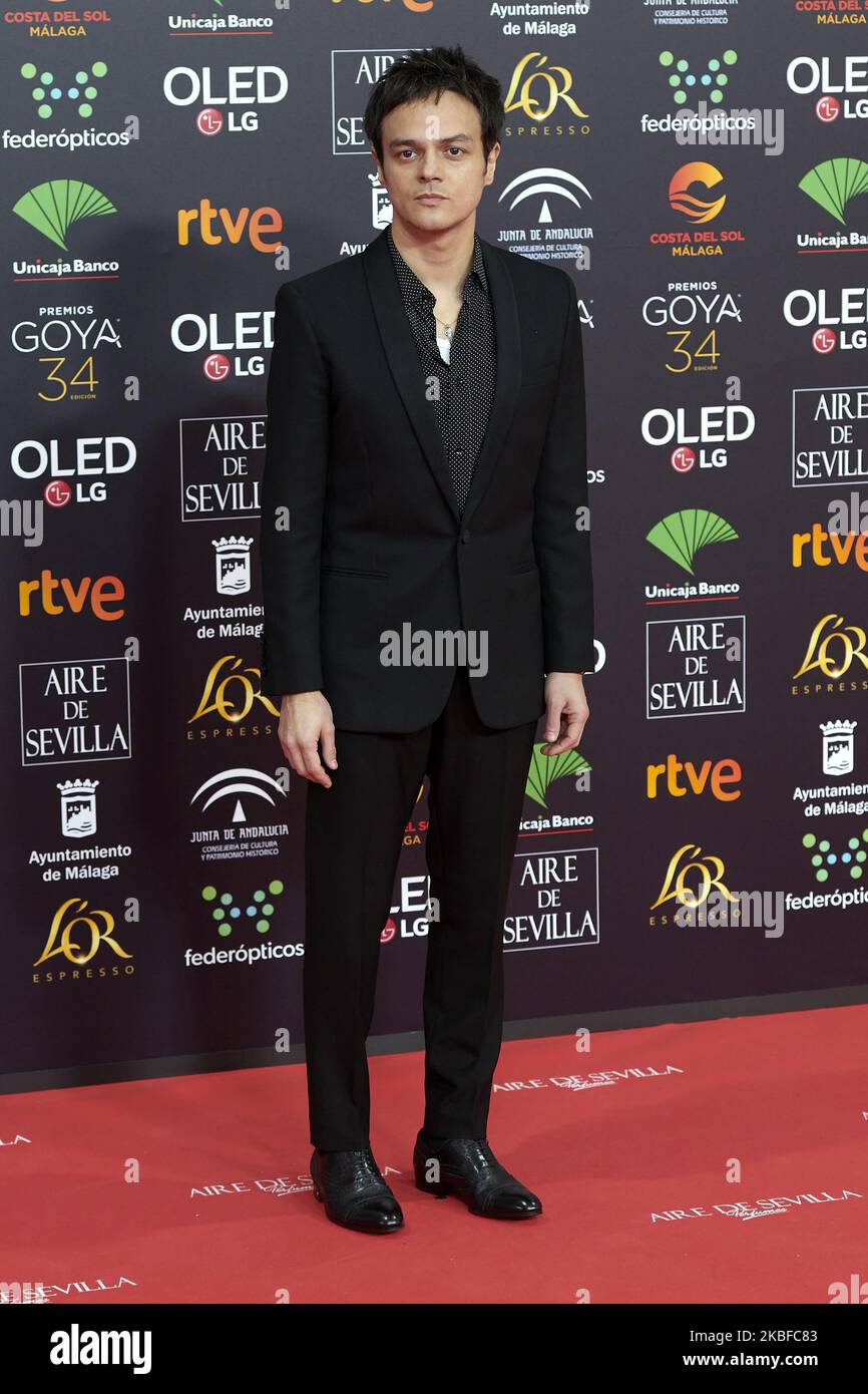 Jamie Cullum attends the 34th 'Goya' Cinema Awards 2020 Red Carpet ...