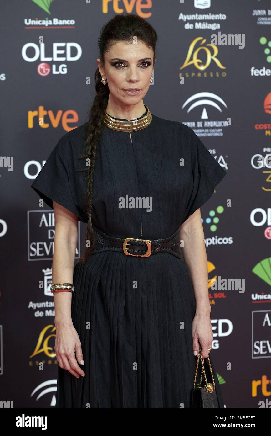 Maribel Verdu attends the 34th 'Goya' Cinema Awards 2020 Red Carpet ...