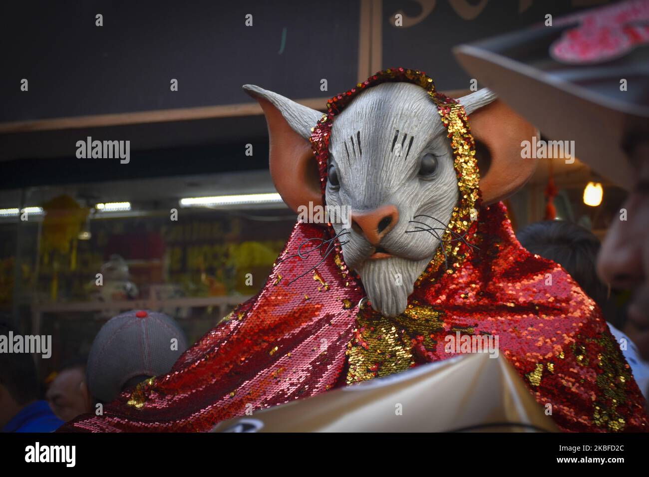 A guy disguised as a Rat is seen in Mexico City Chinatown during ...