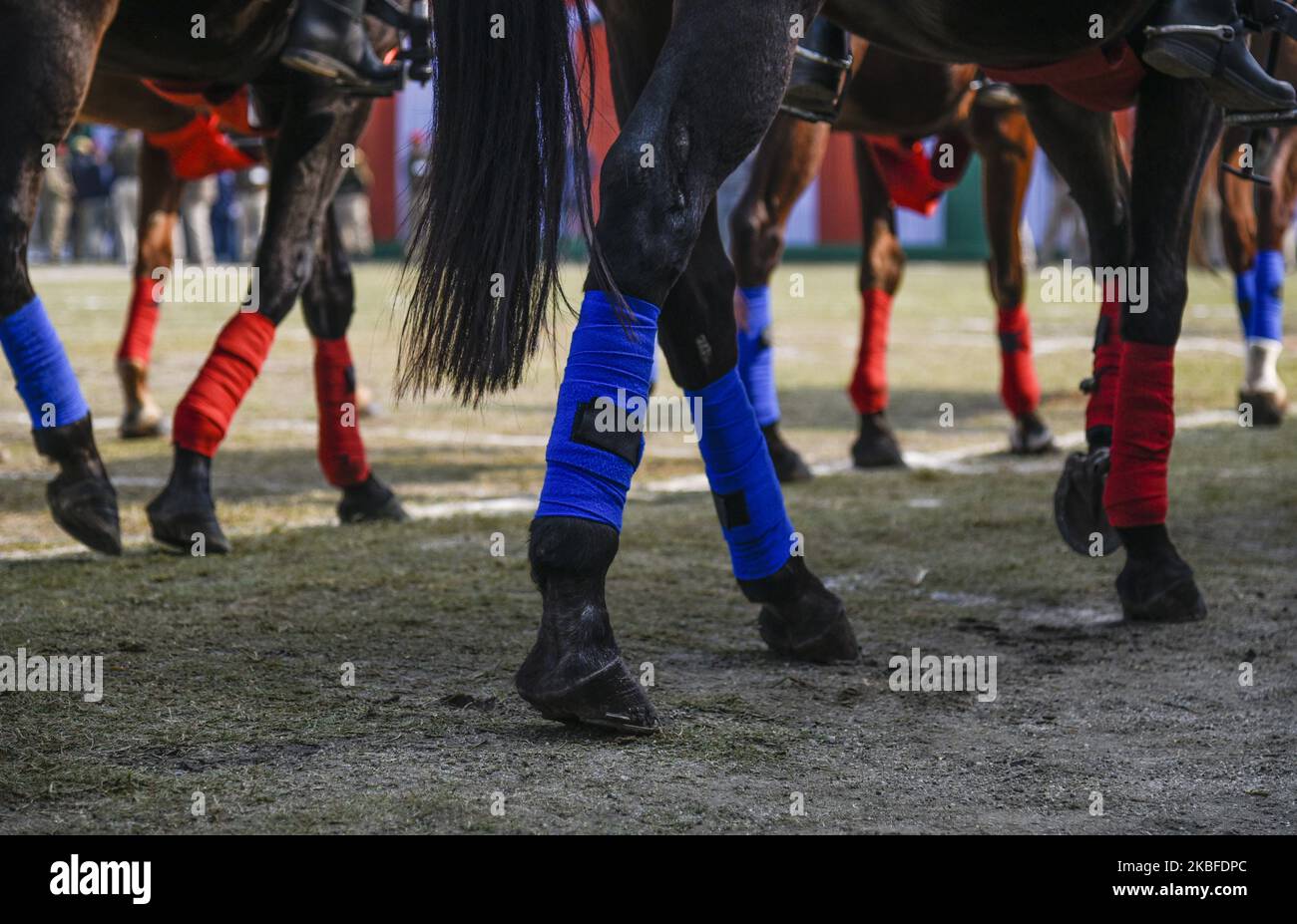 Assam horse mounted police hi-res stock photography and images - Alamy