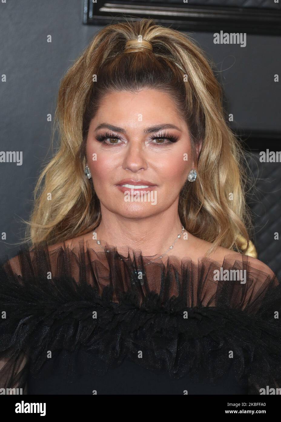 LOS ANGELES, CALIFORNIA, USA - JANUARY 26: Shaina Twain arrives at the ...