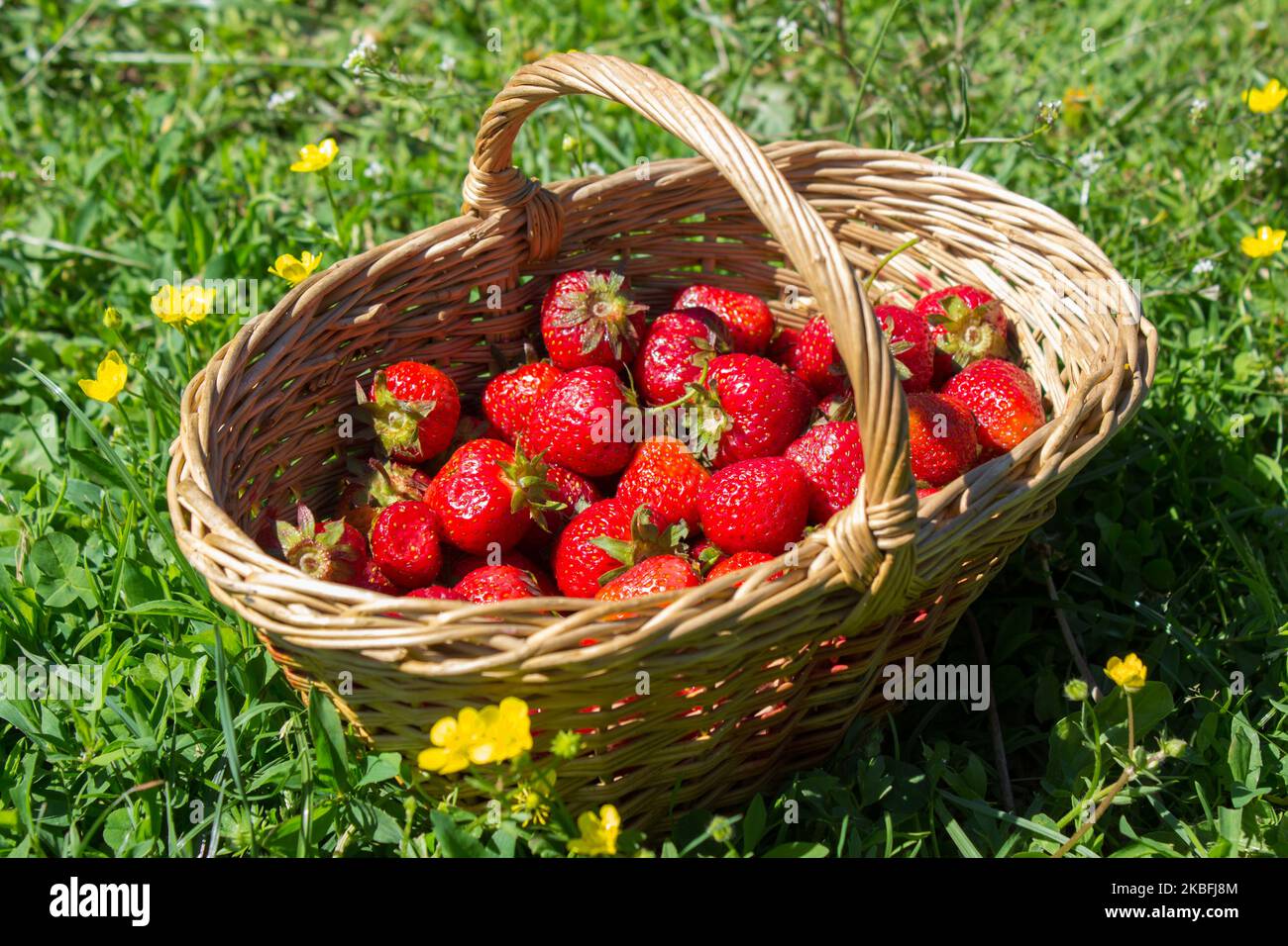 Empty nutrients hi-res stock photography and images - Alamy