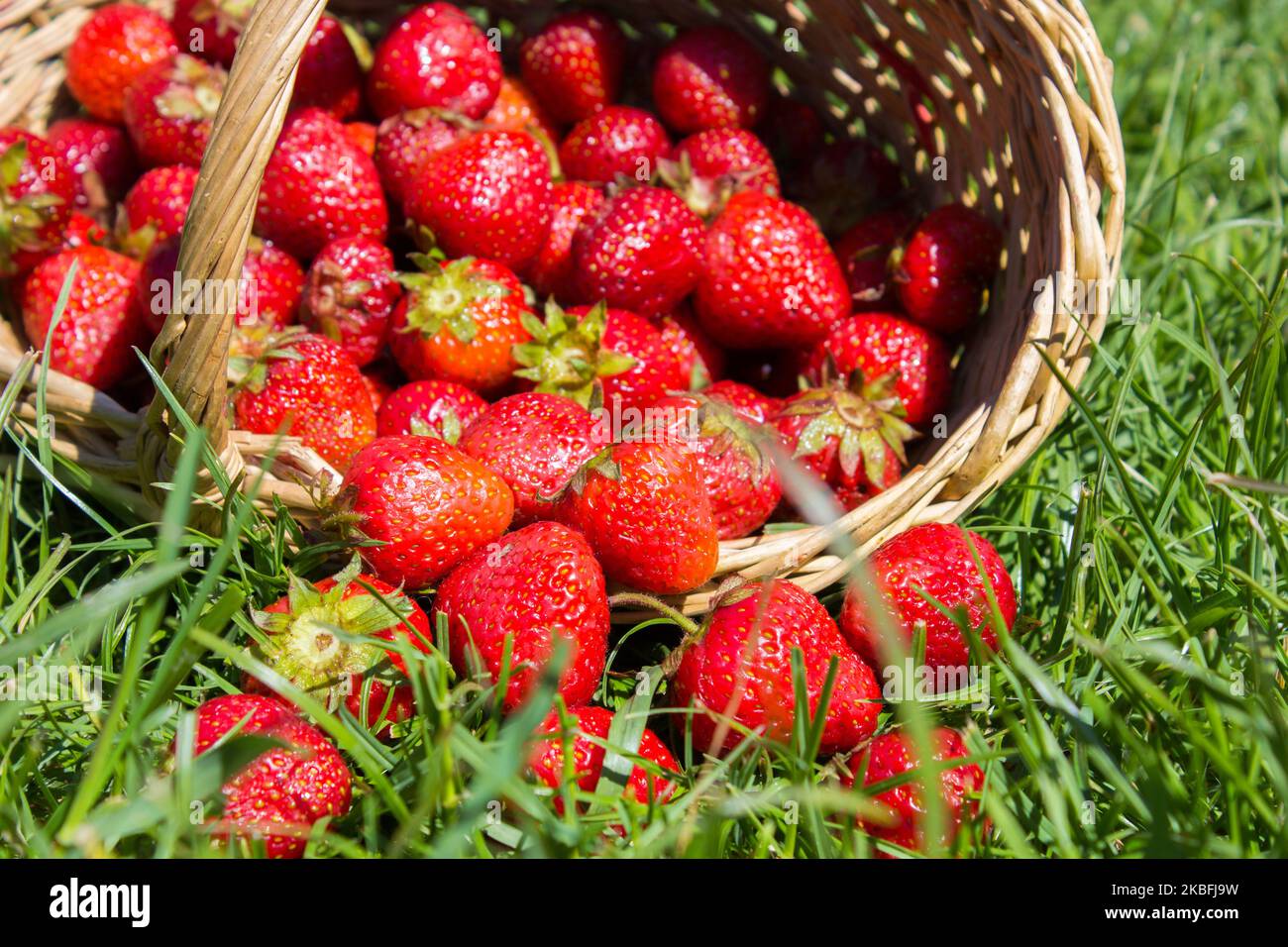 Inverted basket hi-res stock photography and images - Alamy