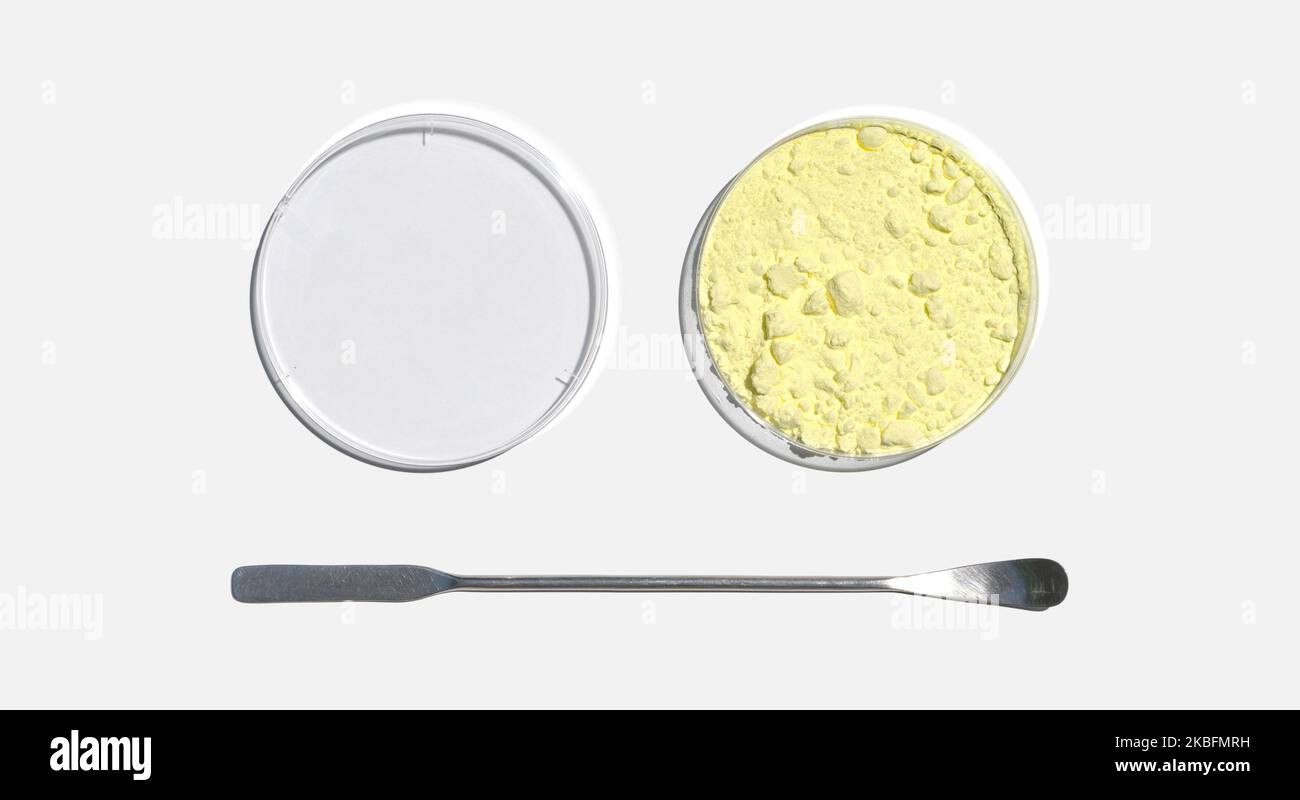 Sulfur Powder in Petri dish with plastic lid placed next to the ...