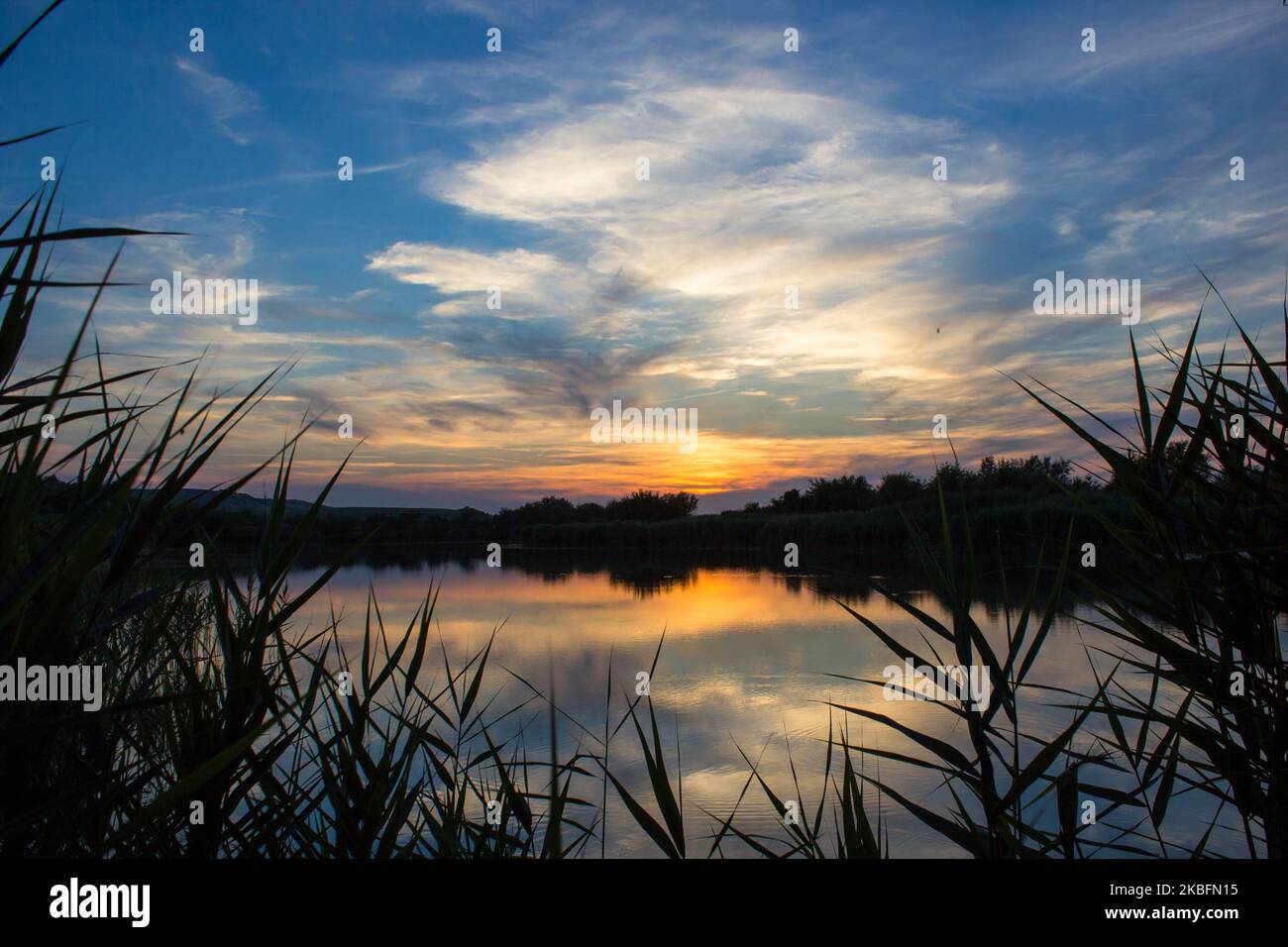 Autumn Landscape. Autumn trees in the park at the sunset Stock Photo ...