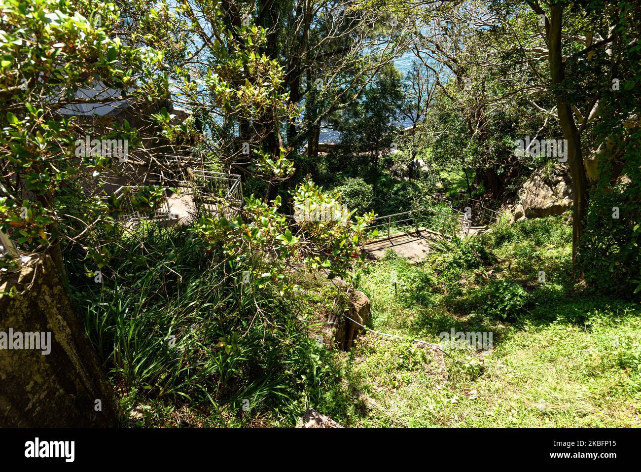 Looking down onto the stairs at Duff Reserve at Point Piper in Sydney ...