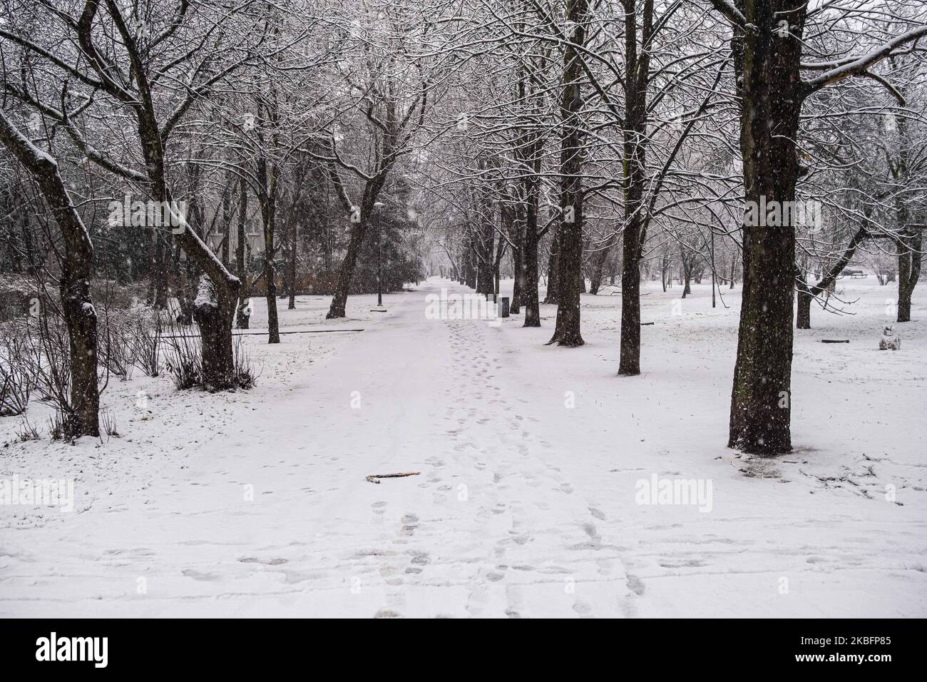 First snow in Warsaw. 29 January, 2020, Warsaw, Poland (Photo by ...