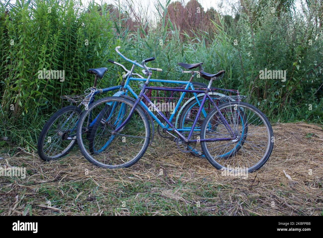 three old bicycles in nature people left behind Stock Photo - Alamy