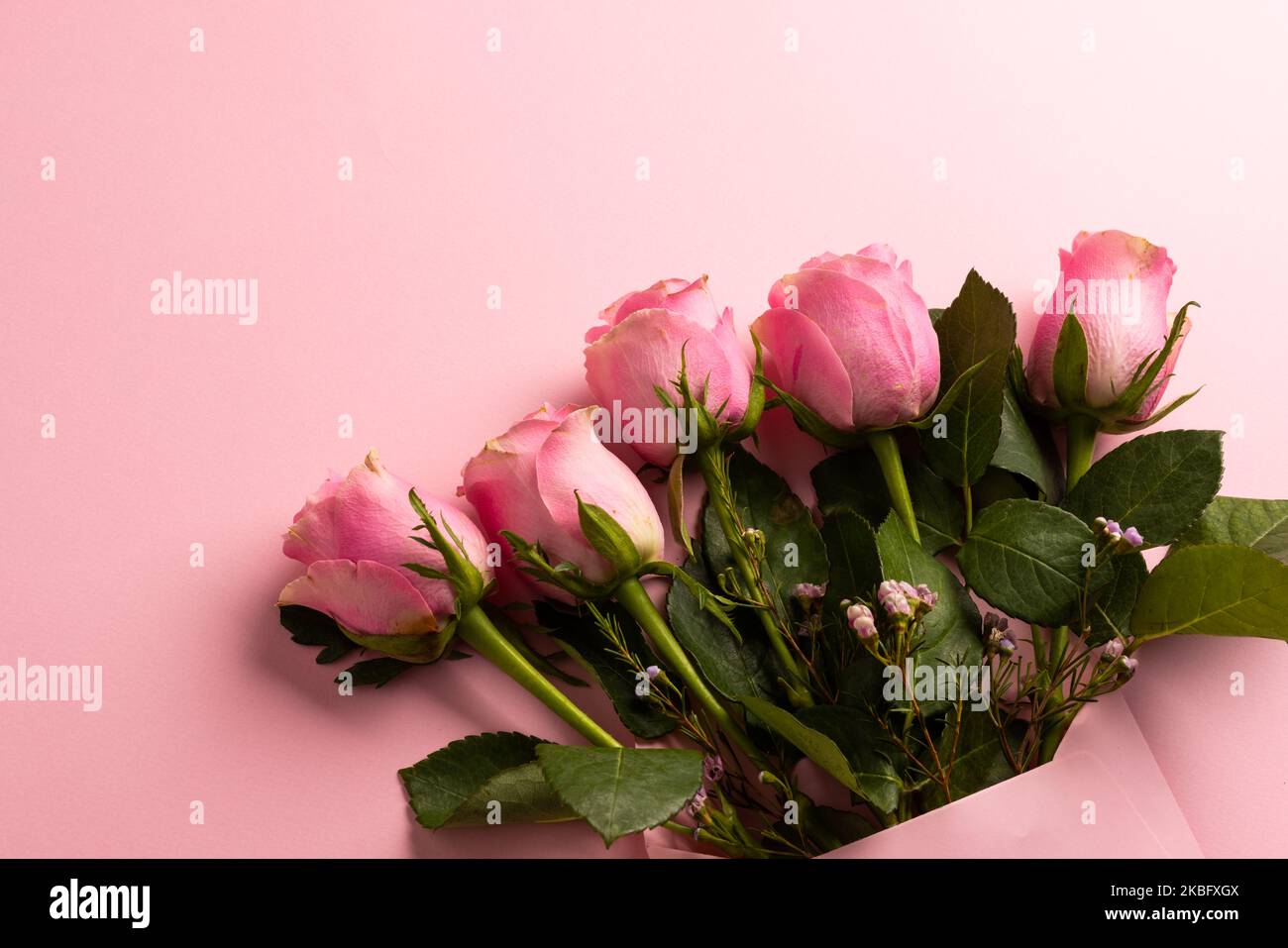 Composition with pink roses hi-res stock photography and images - Alamy