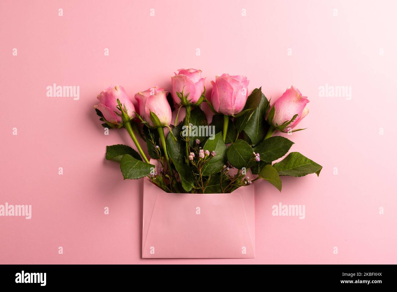 Pink composition hi-res stock photography and images - Alamy